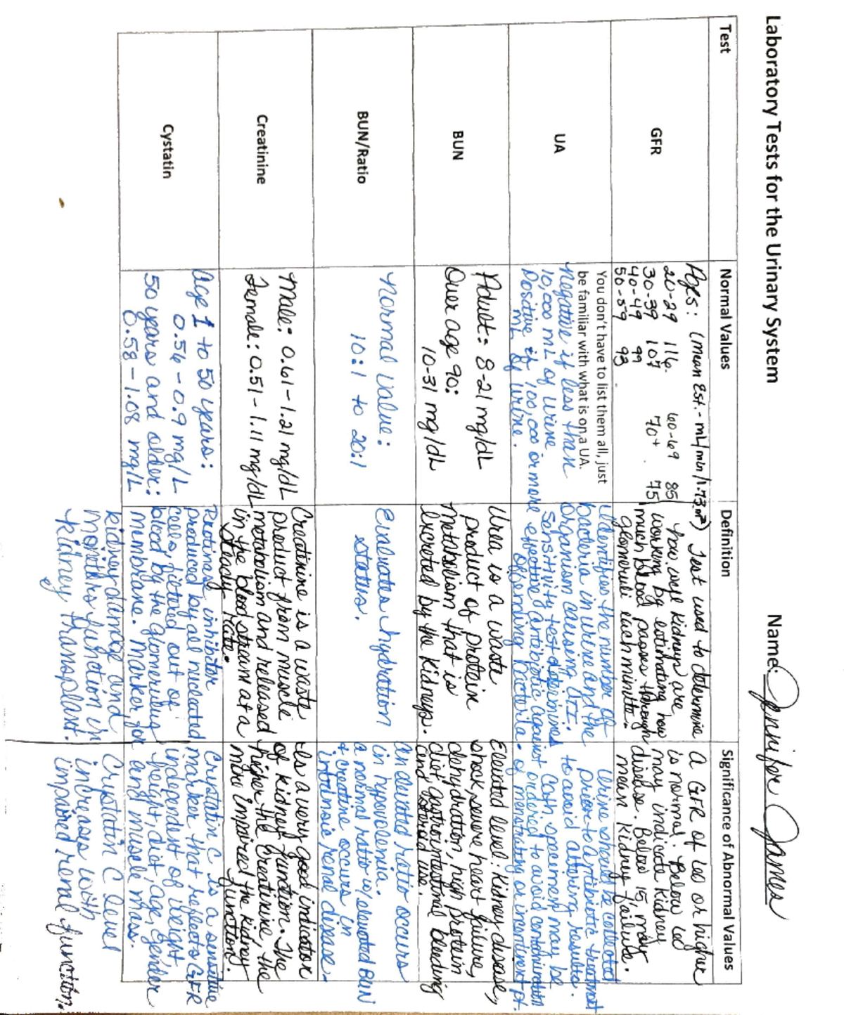 Urinary System Laboratory Tests - LPN 1202 - Studocu