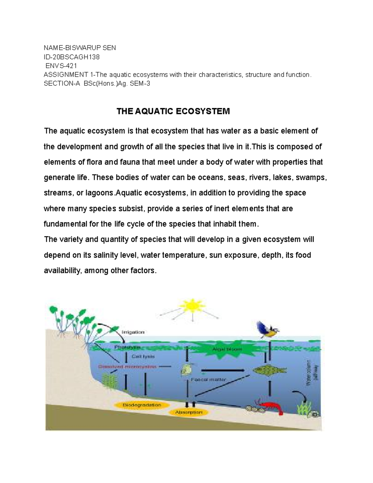 Aquatic ecosystem - SECTION-A BSc(Hons.)Ag. SEM- THE AQUATIC ECOSYSTEM ...