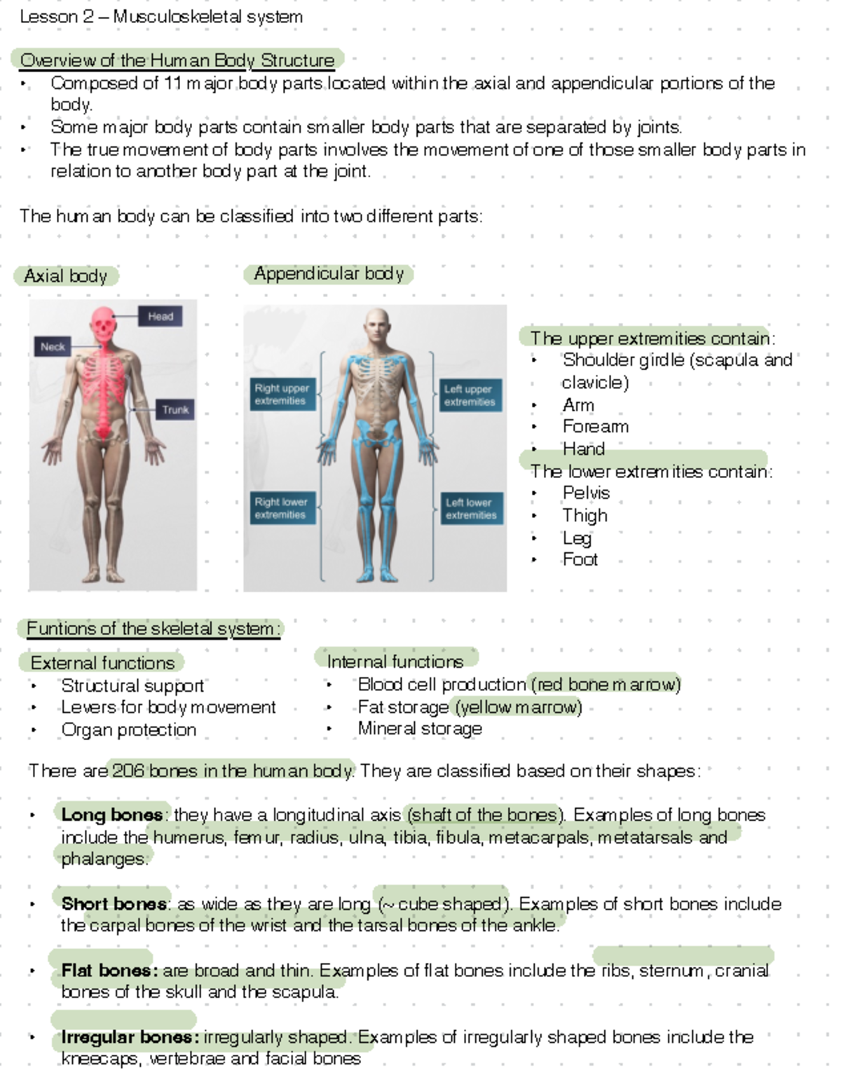 Lesson 2 - Lecture 2 notes - Lesson 2 – Musculoskeletal system Overview ...