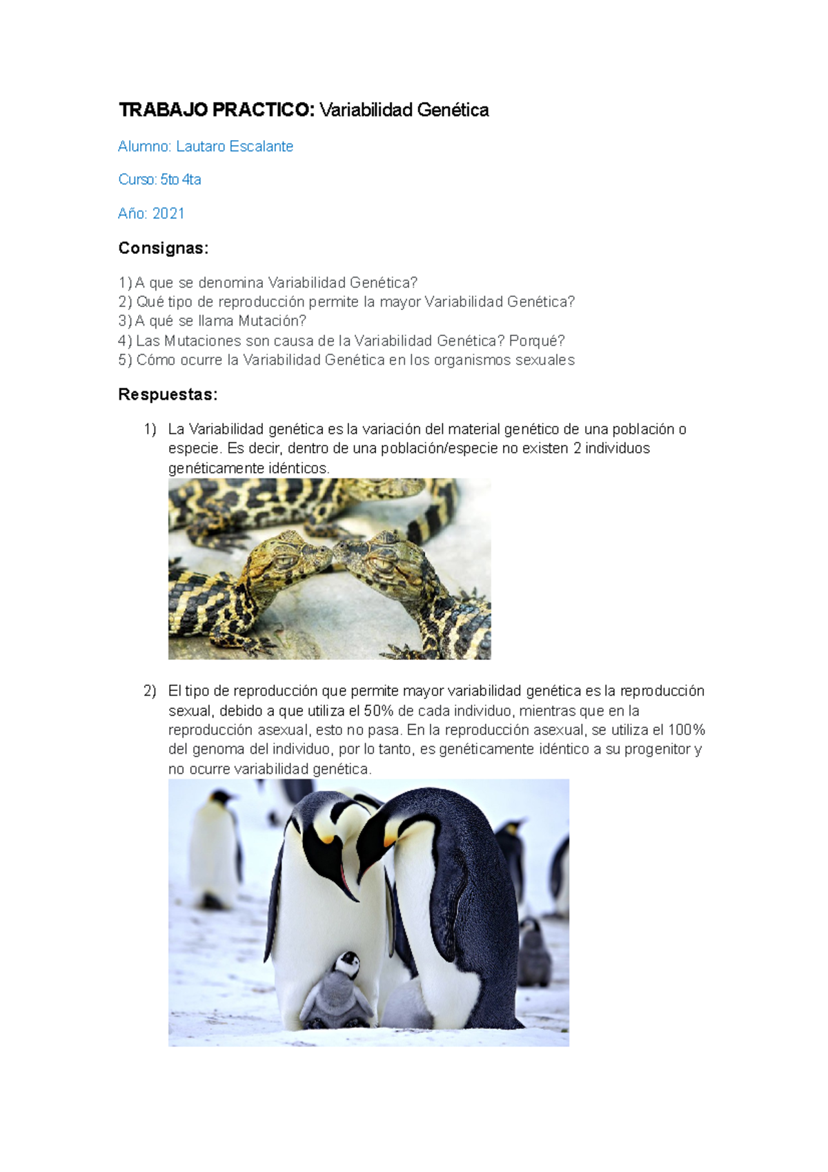 Variabilidad Genetica Es Decir Dentro De Una Poblaciónespecie No 5353