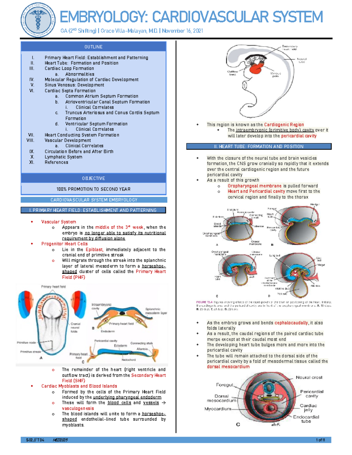 Embryology of Cardiovascular System - S 02 // T 04 MED2025 1 of 11 ...