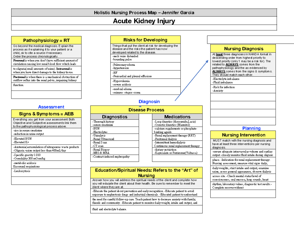 Acute Renal Injury Care Map - Holistic Nursing Process Map – Jennifer ...