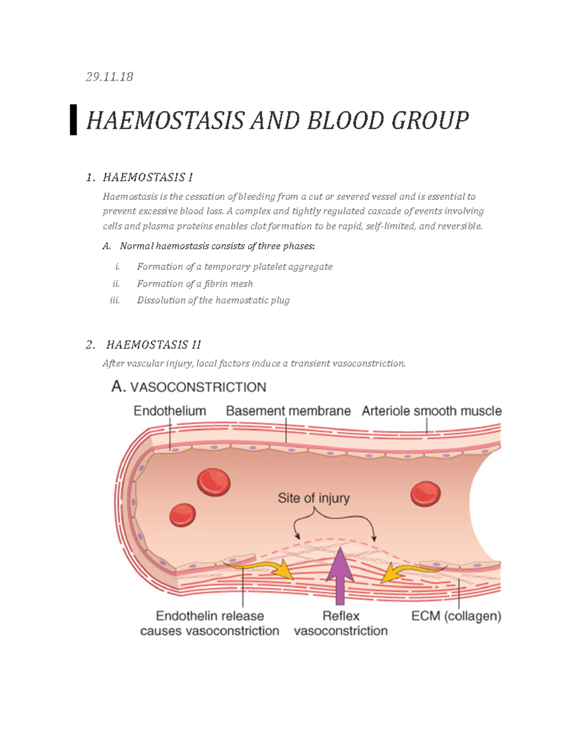 Haemostasis and blood groups notes - 29. HAEMOSTASIS AND BLOOD GROUP 1 ...