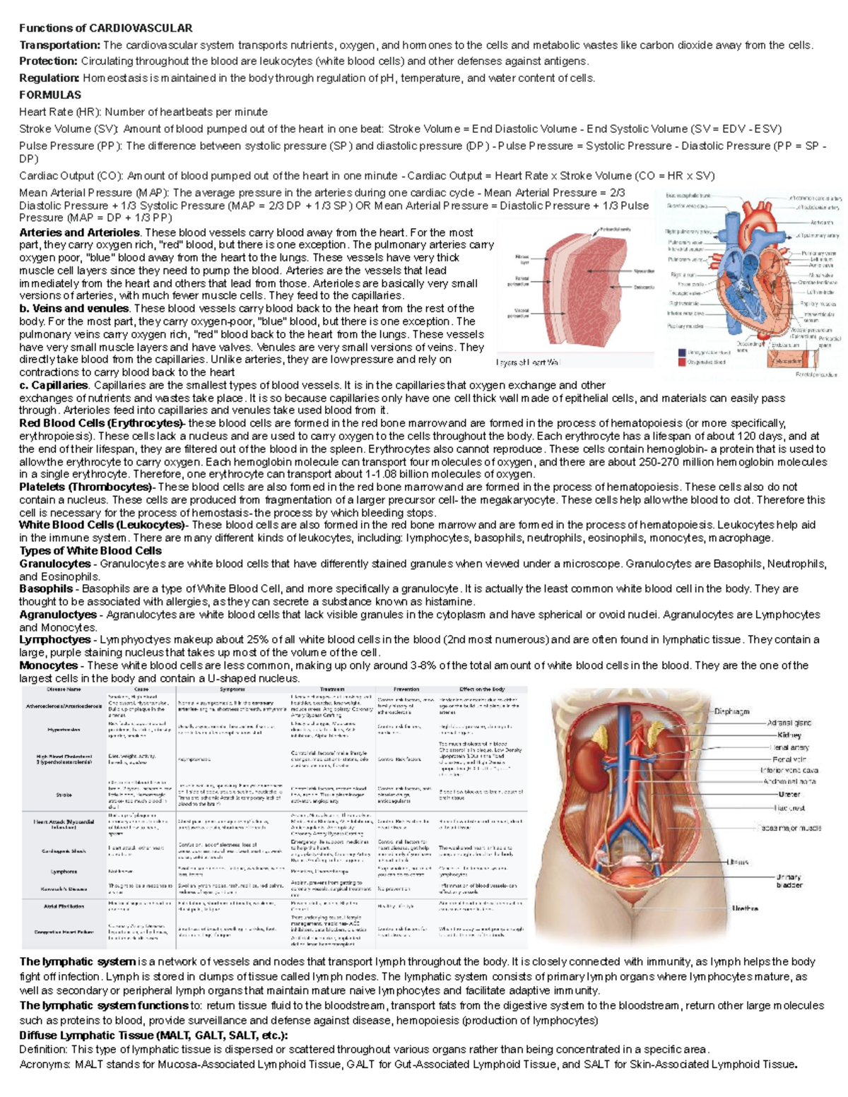 Real one - Summary Human Anatomy and Physiology - Functions of ...