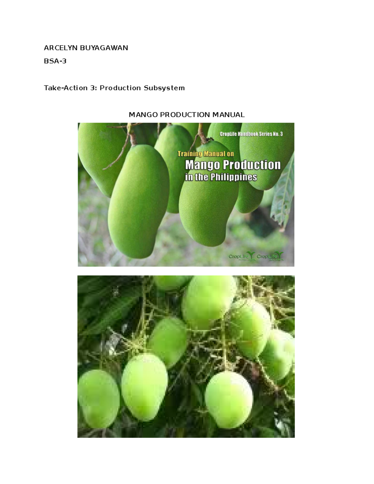Mango - jsjaahajsjdj - ARCELYN BUYAGAWAN 3: Production Subsystem MANGO ...