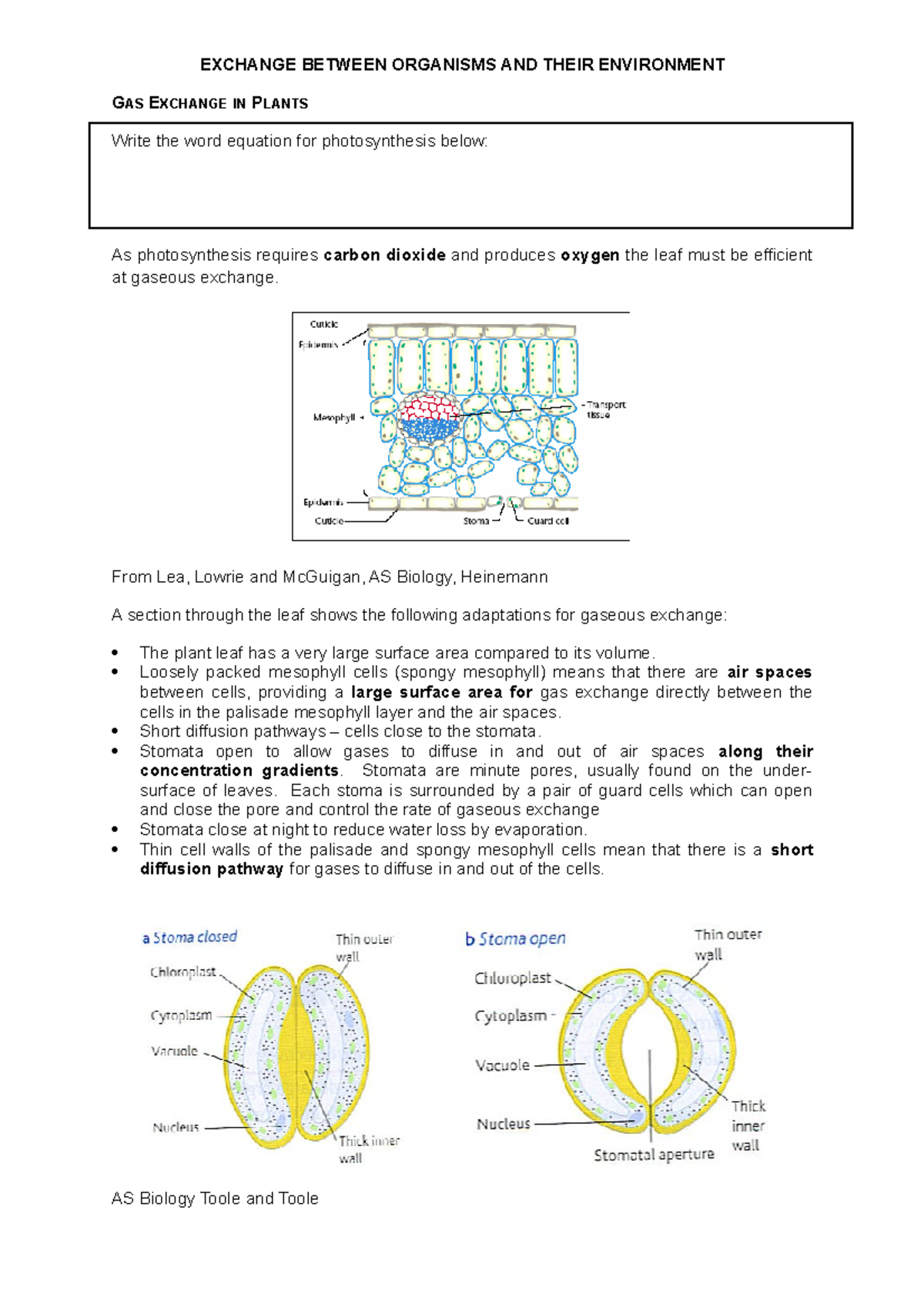 Xerophyte extra notes and tasks - EXCHANGE BETWEEN ORGANISMS AND THEIR ...