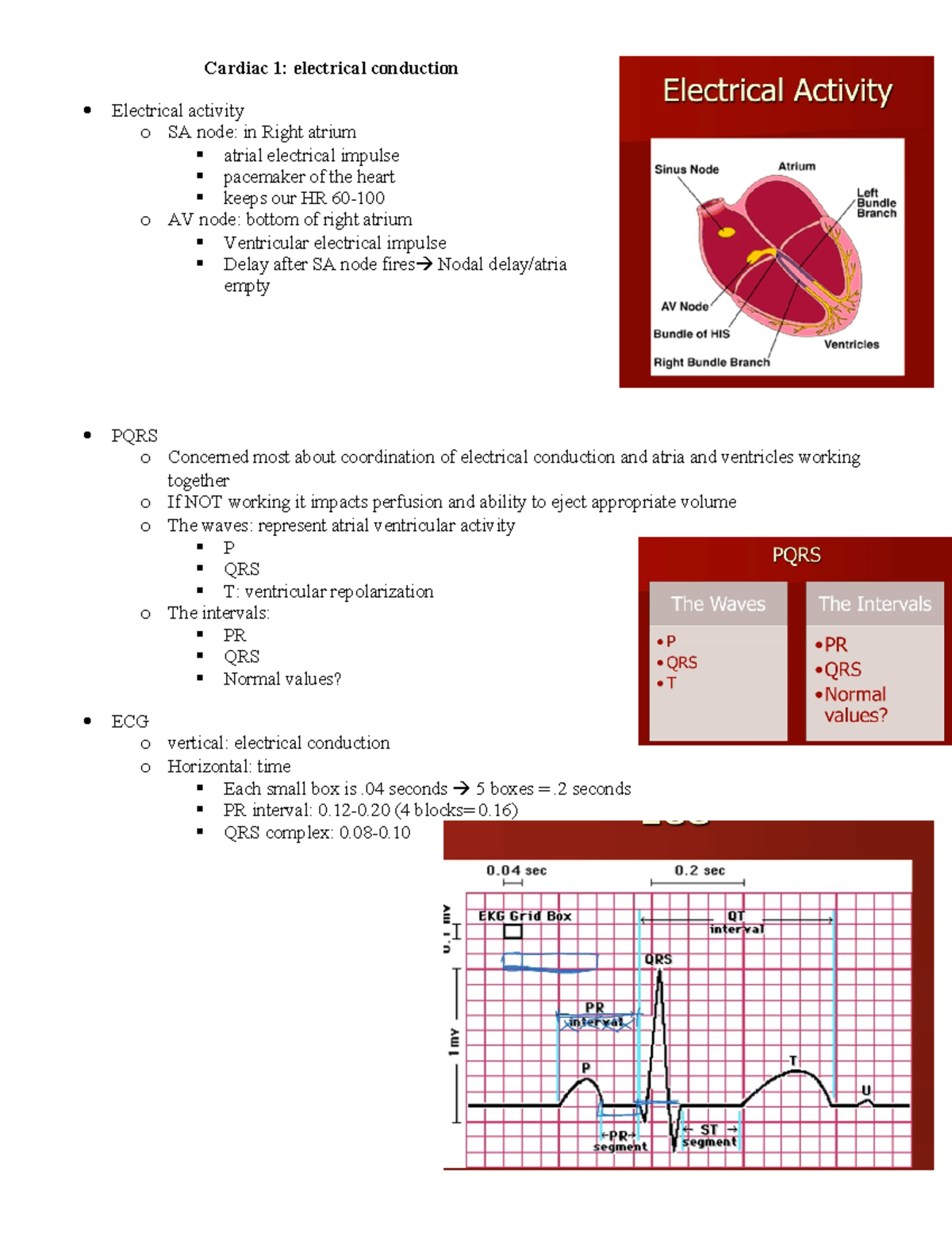 Cardiac 1 notes - Cardiac 1: electrical conduction Electrical activity ...
