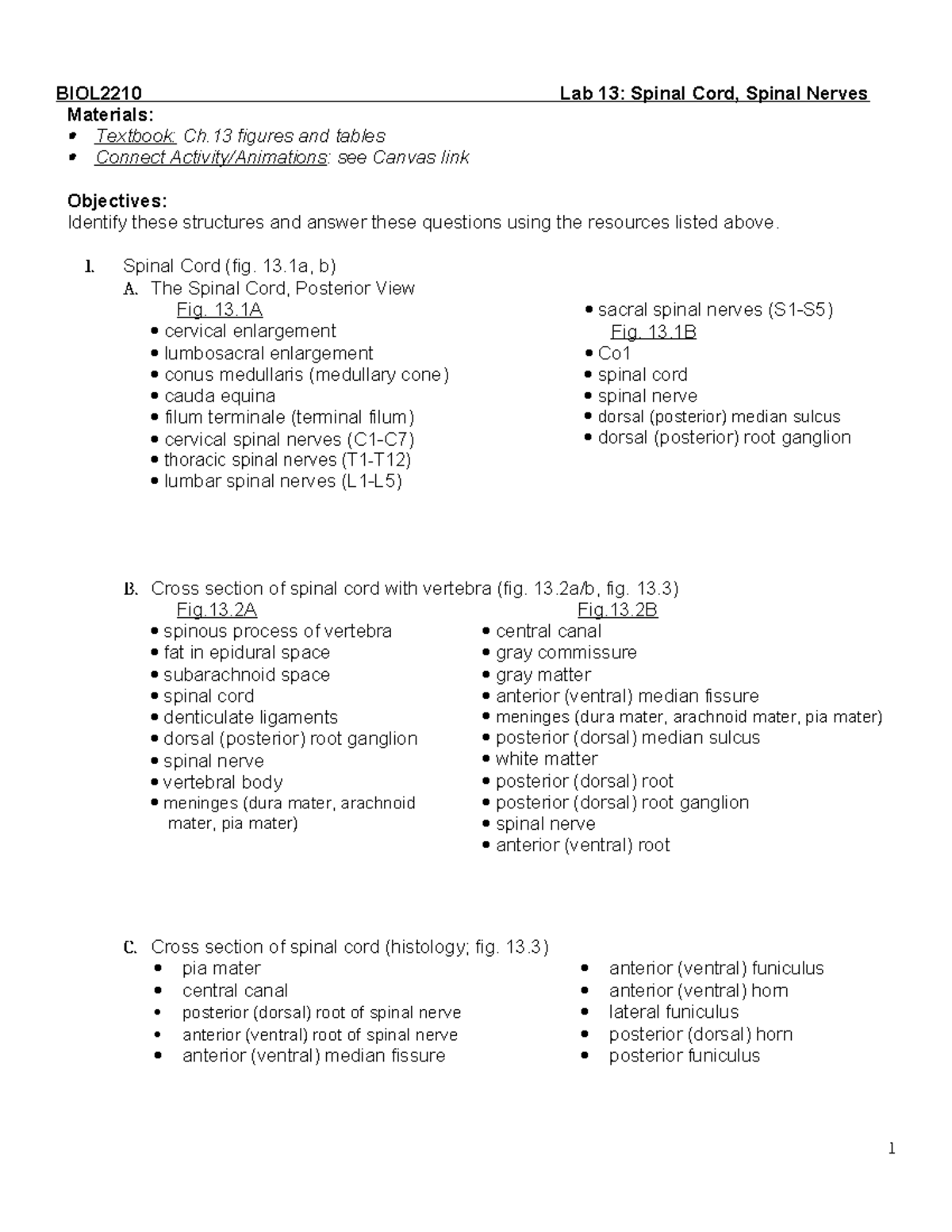 Lab 13 Spinal Cord & Nerves - BIOL2210 Lab 13: Spinal Cord, Spinal ...