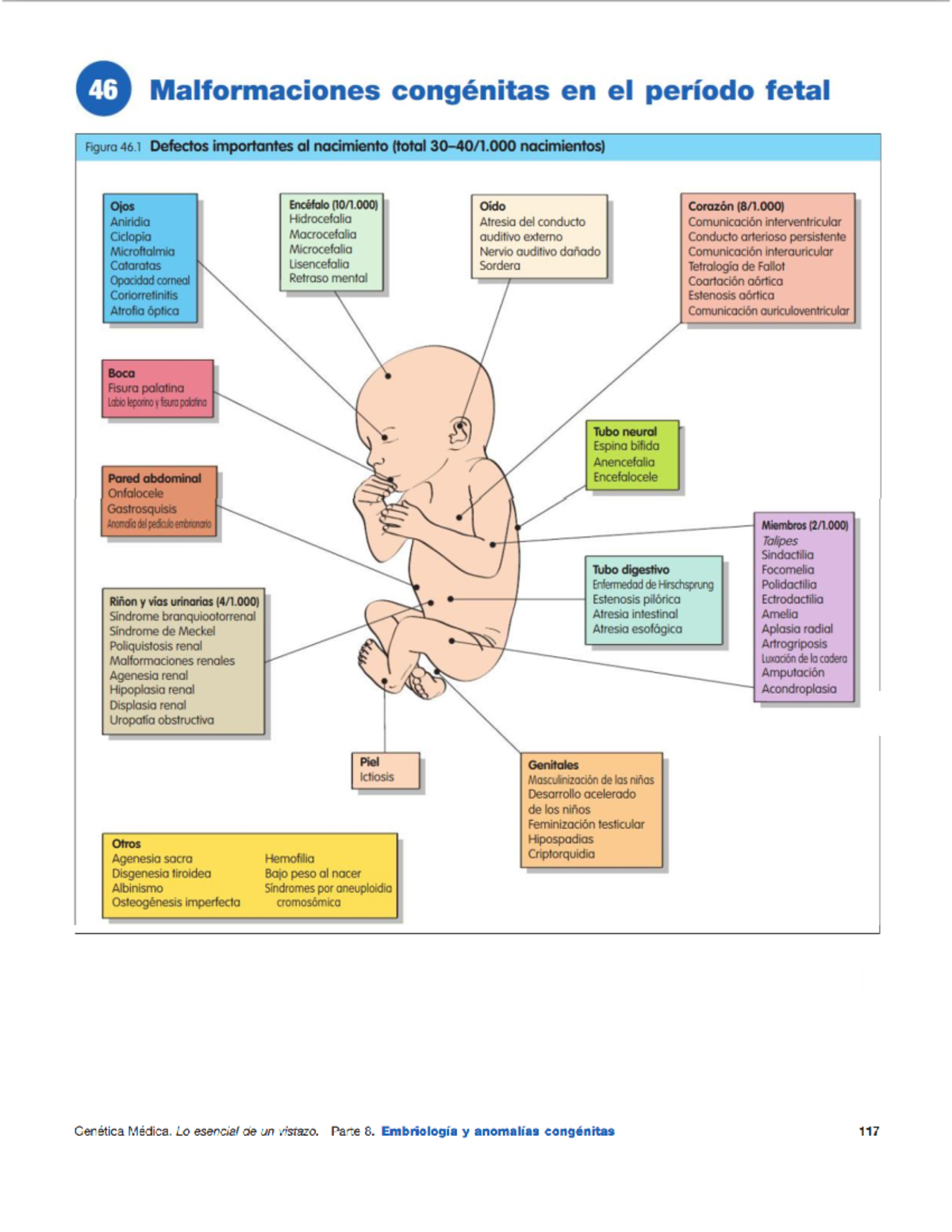 Malformaciones congénitas en el periodo fetal - Procesos Patologicos ...