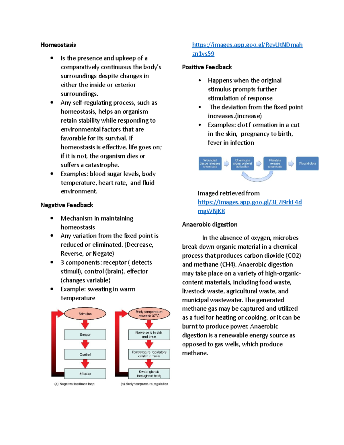 Homeostasis - This lecture notes talks about the balance in our system ...