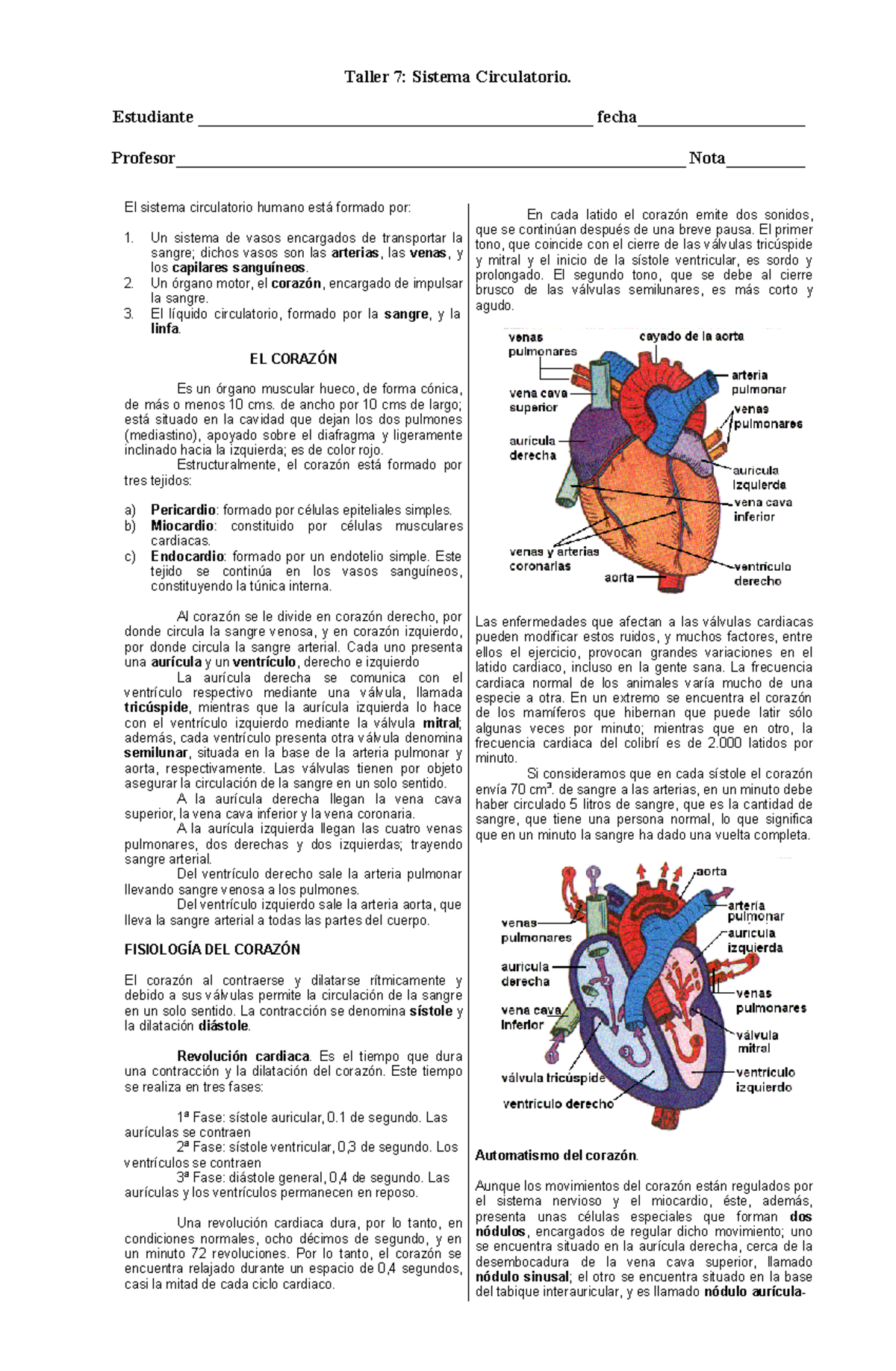 Taller sistema circulatorio - Taller 7: Sistema Circulatorio. Estudiante - Studocu