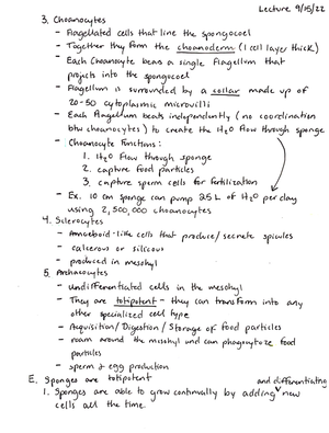 Notes on Invert Classifications and Relationships - Chapter 2:7-8, 18 ...