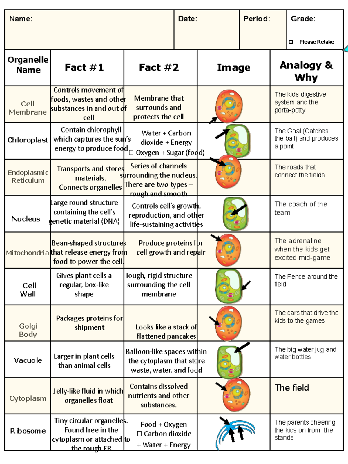 Organelles Quiz - Fact #1 Fact #2 Image Organelle Name Chloroplast ...
