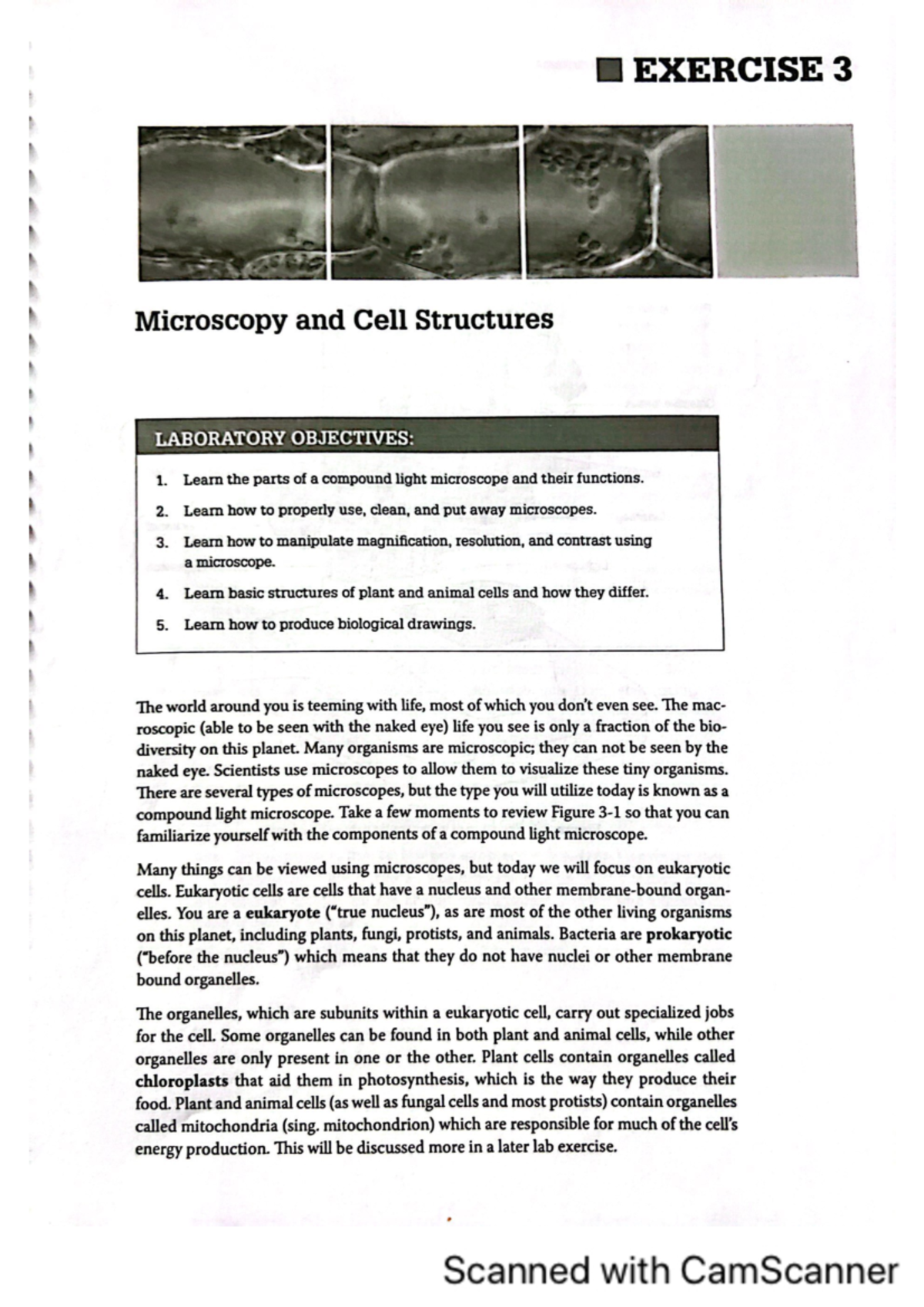 Microscopy and cell structures lab manual - BSC 1005L - Studocu