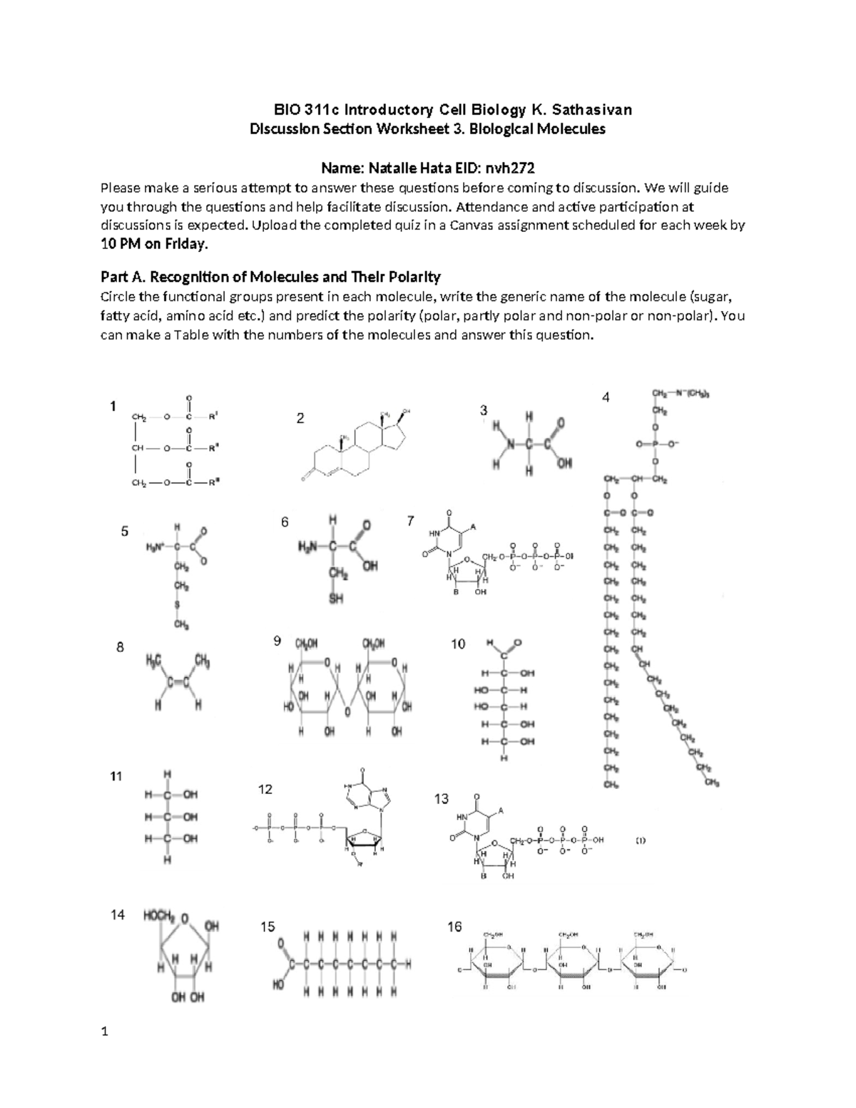 BIO311c DSW 3-Biological Molecules - Fall 2024 - BIO 311c Introductory ...