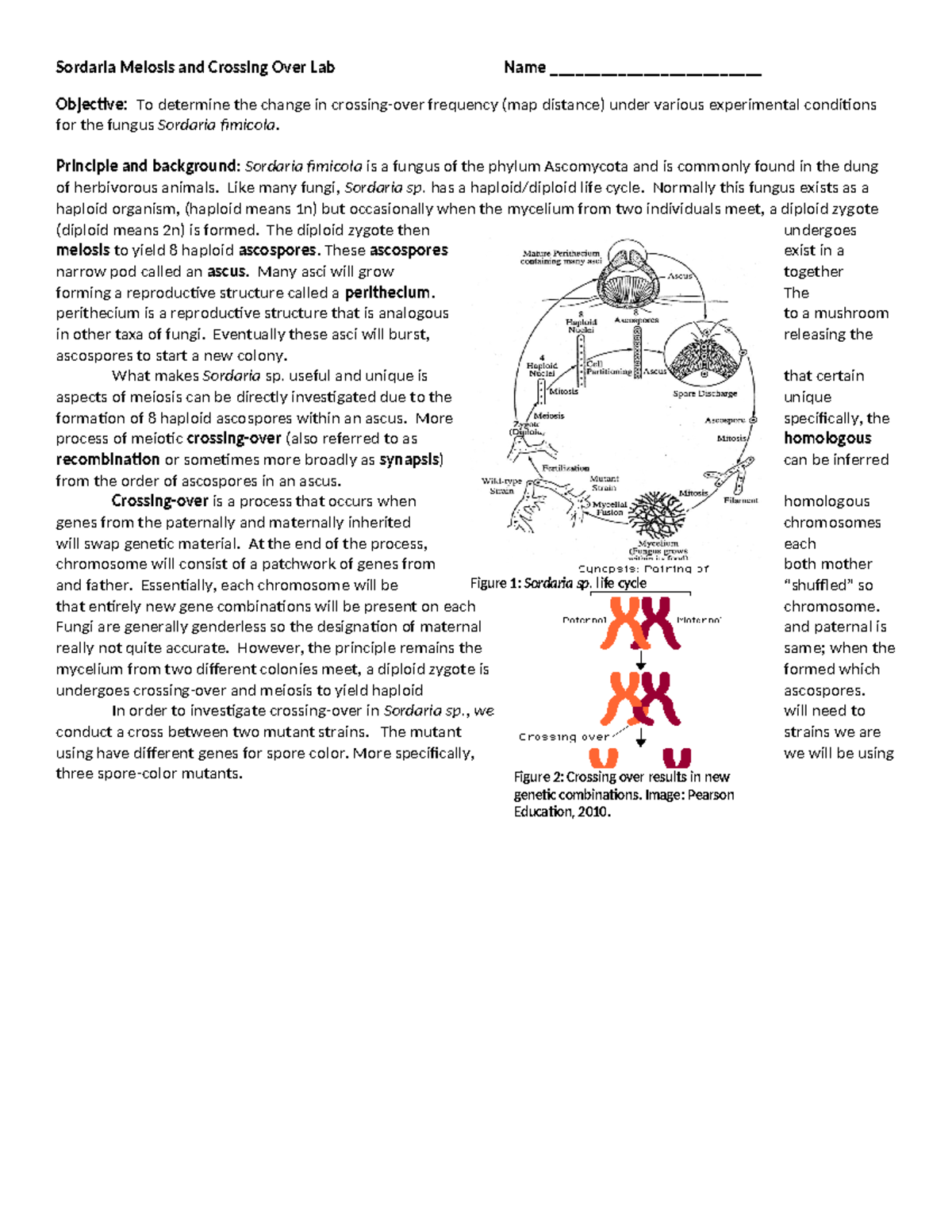 Sordaria lab 2014 - Sordaria Meiosis and Crossing Over Lab Name