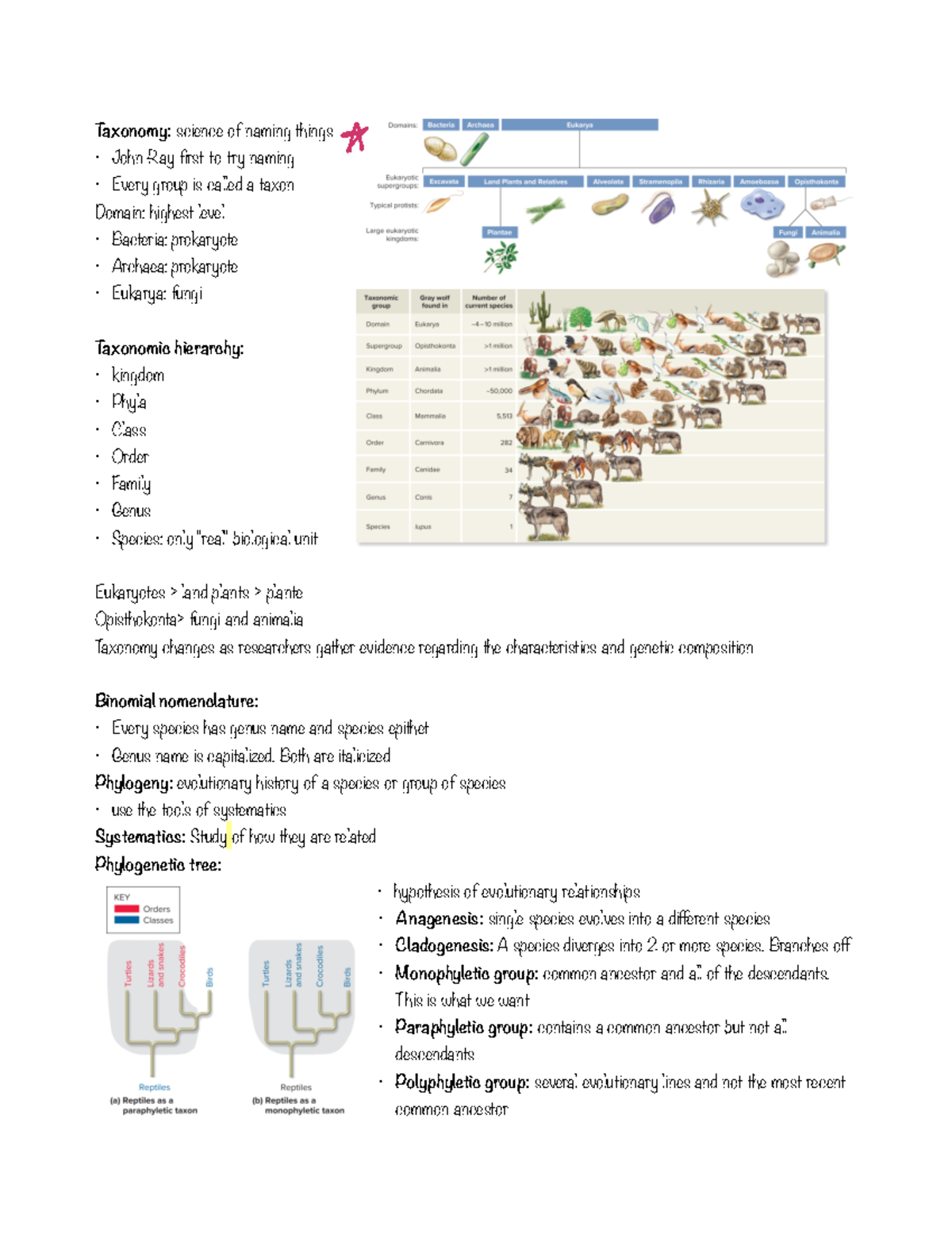 Chapter 25 Taxonomy and Systematics - Taxonomy: science of naming ...