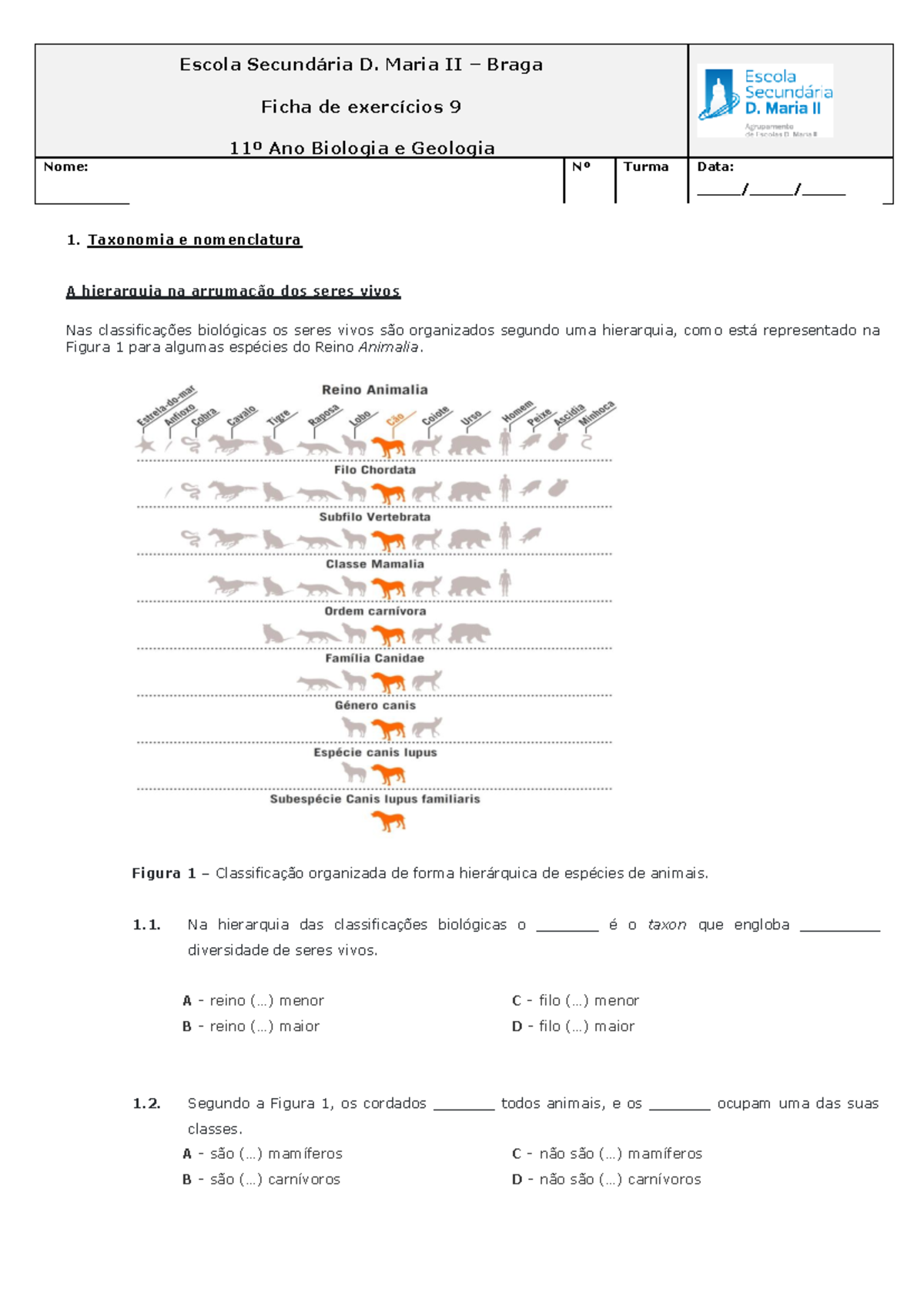 Ficha de exercícios 9 - lokij - Escola Secundária D. Maria II – Braga ...