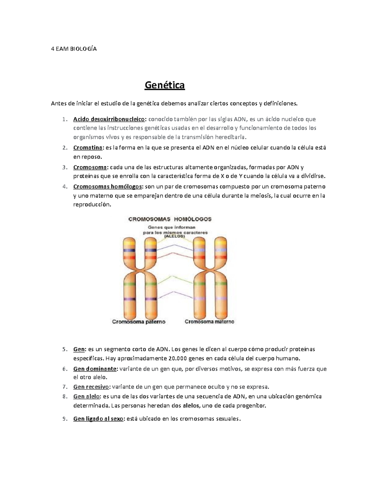 4 EAM Biología- Genética - 4 EAM BIOLOGÍA Genética Antes de iniciar el ...