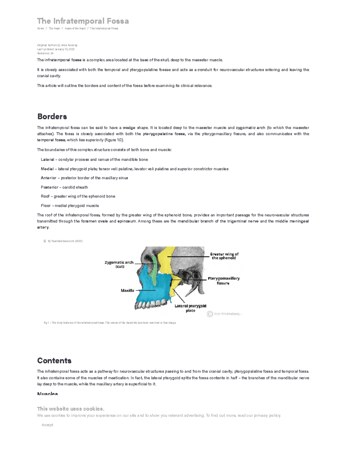 The Infratemporal Fossa - Borders - Contents - Teach Me Anatomy - The ...