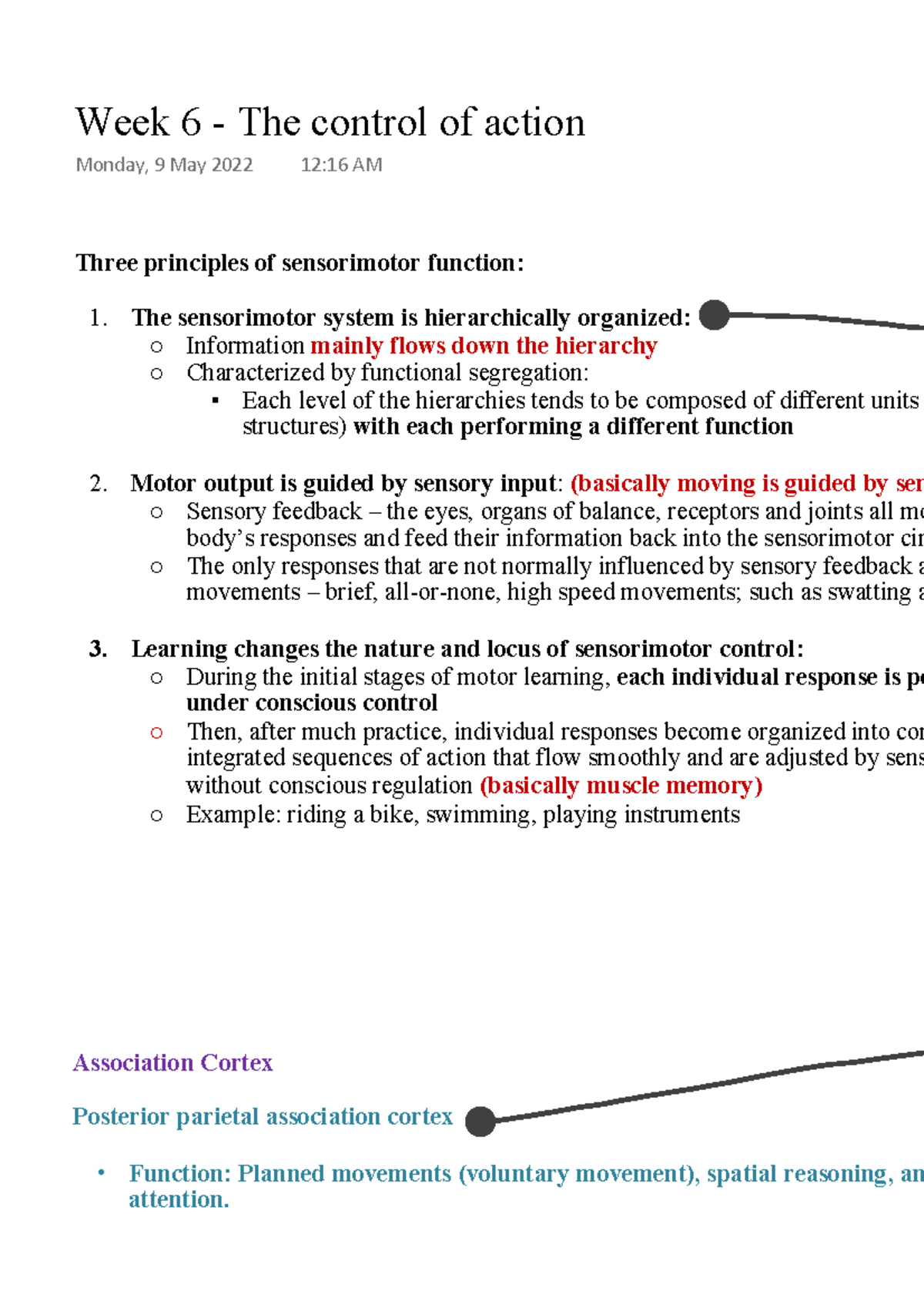 Week 6 - The control of action - Three principles of sensorimotor ...