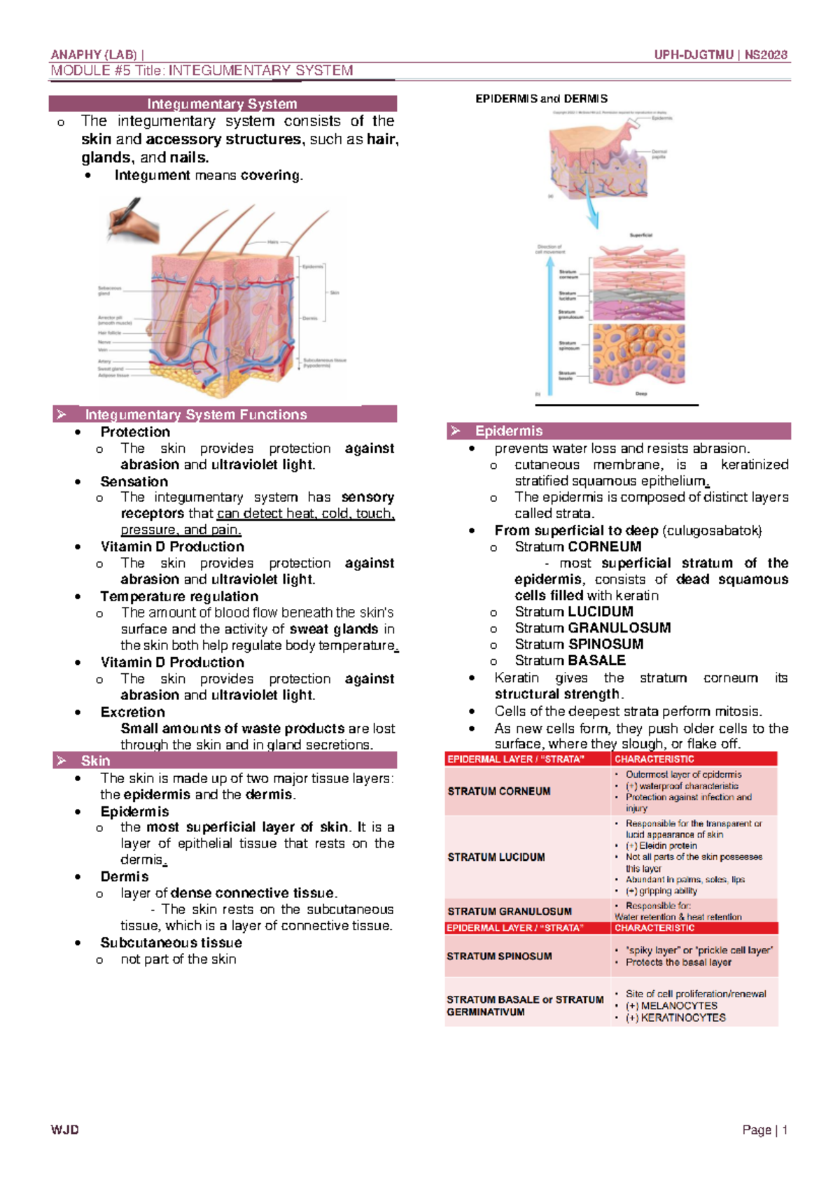 Integumentary- System - MODULE # 5 Title: INTEGUMENTARY SYSTEM ...