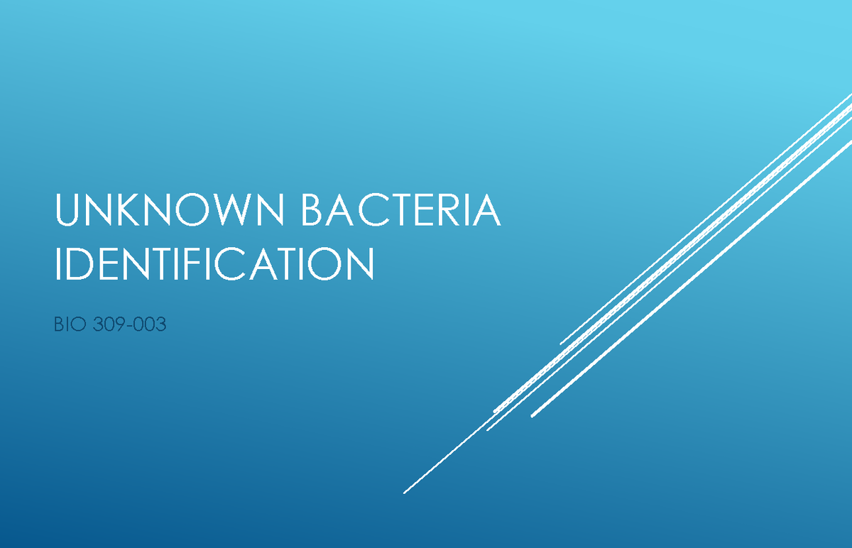 Unknown Bacteria Identification - UNKNOWN BACTERIA IDENTIFICATION BIO ...