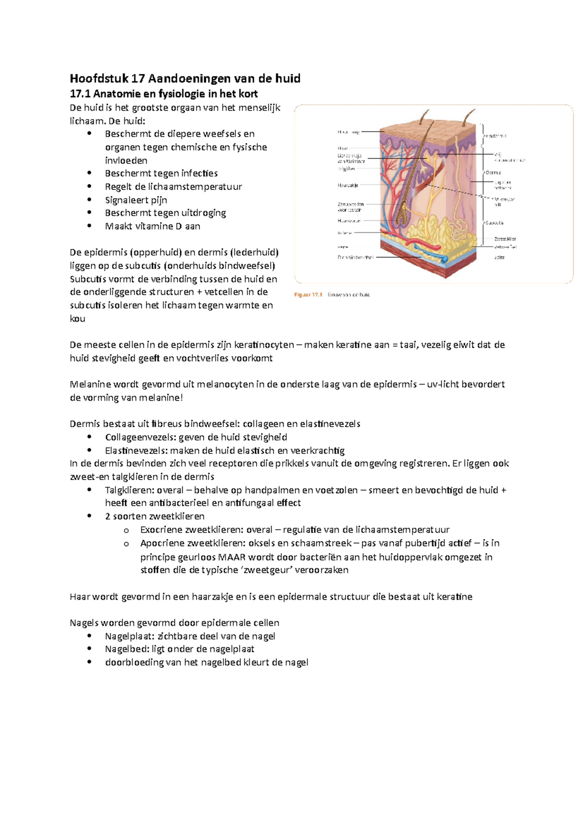 Pathologie H17 - Hoofdstuk 17 Aandoeningen van de huid 17 Anatomie en ...
