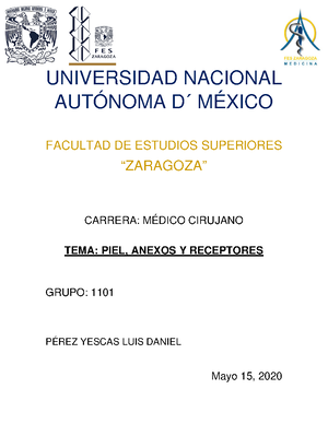 Fichas artículo Depresión 2 - Joelle LeMoulta, Ian H. Gotlib ...