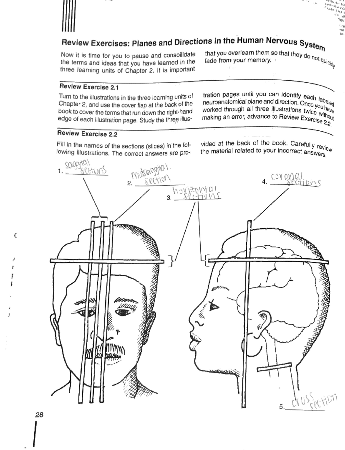 Review 2 - PS 235 - Studocu