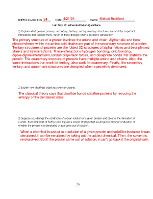 CHEM 121 Lab Manual The whole assignments - Laboratory Manual for CHEM ...