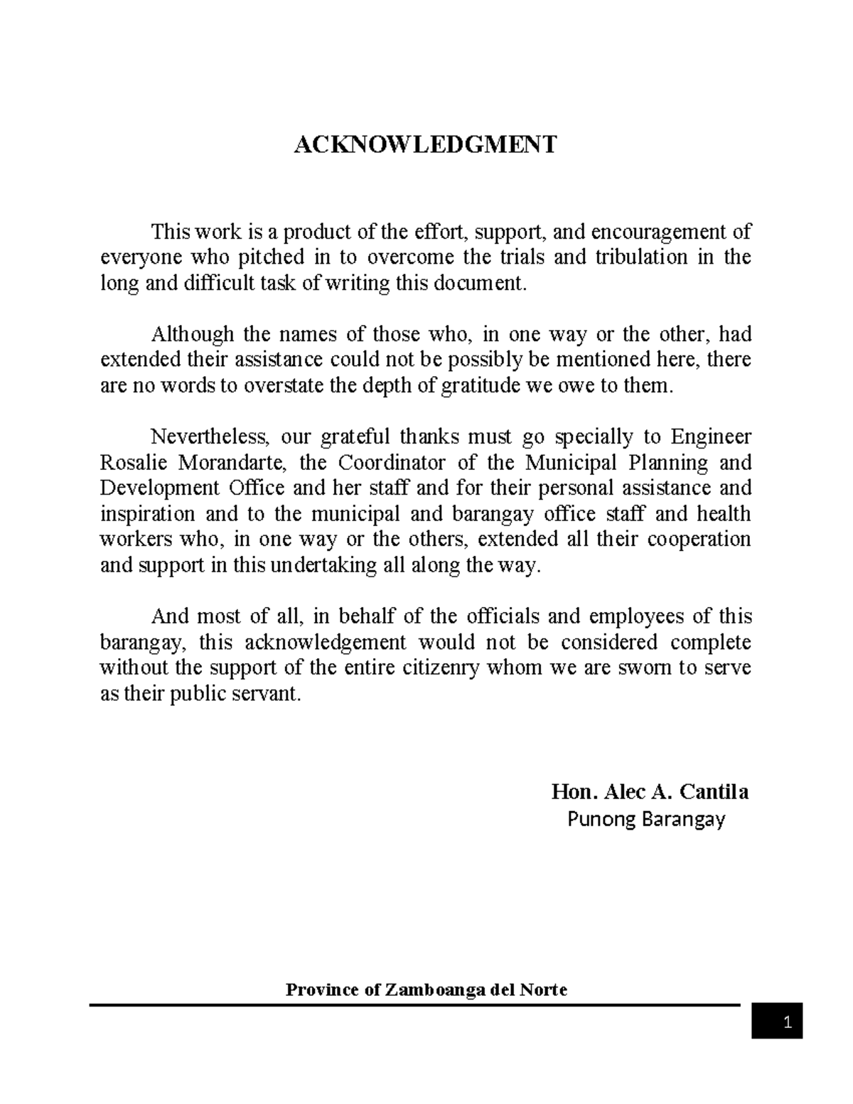 Barangay Development PLAN 2022 - ACKNOWLEDGMENT This work is a product ...