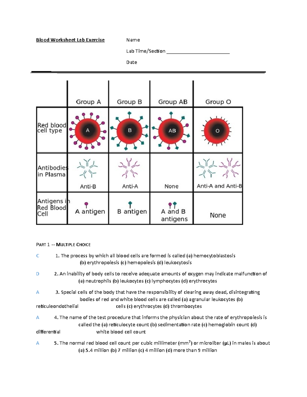 Lab 4 Blood Lab Worksheet - Blood Worksheet Lab Exercise Name Lab Time ...