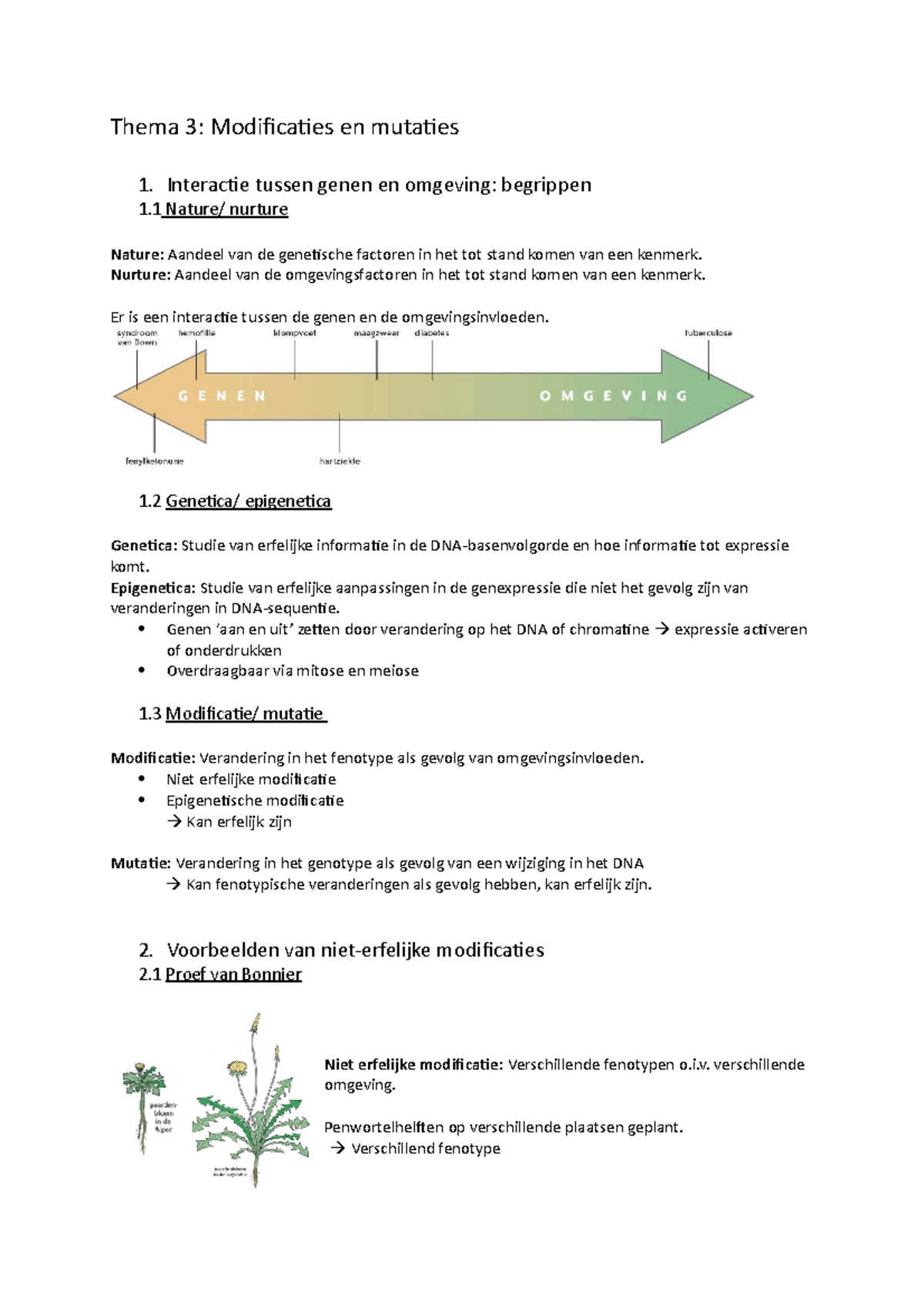 Thema 3 modificaties en mutaties - Thema 3: Modificaties en mutaties 1 ...