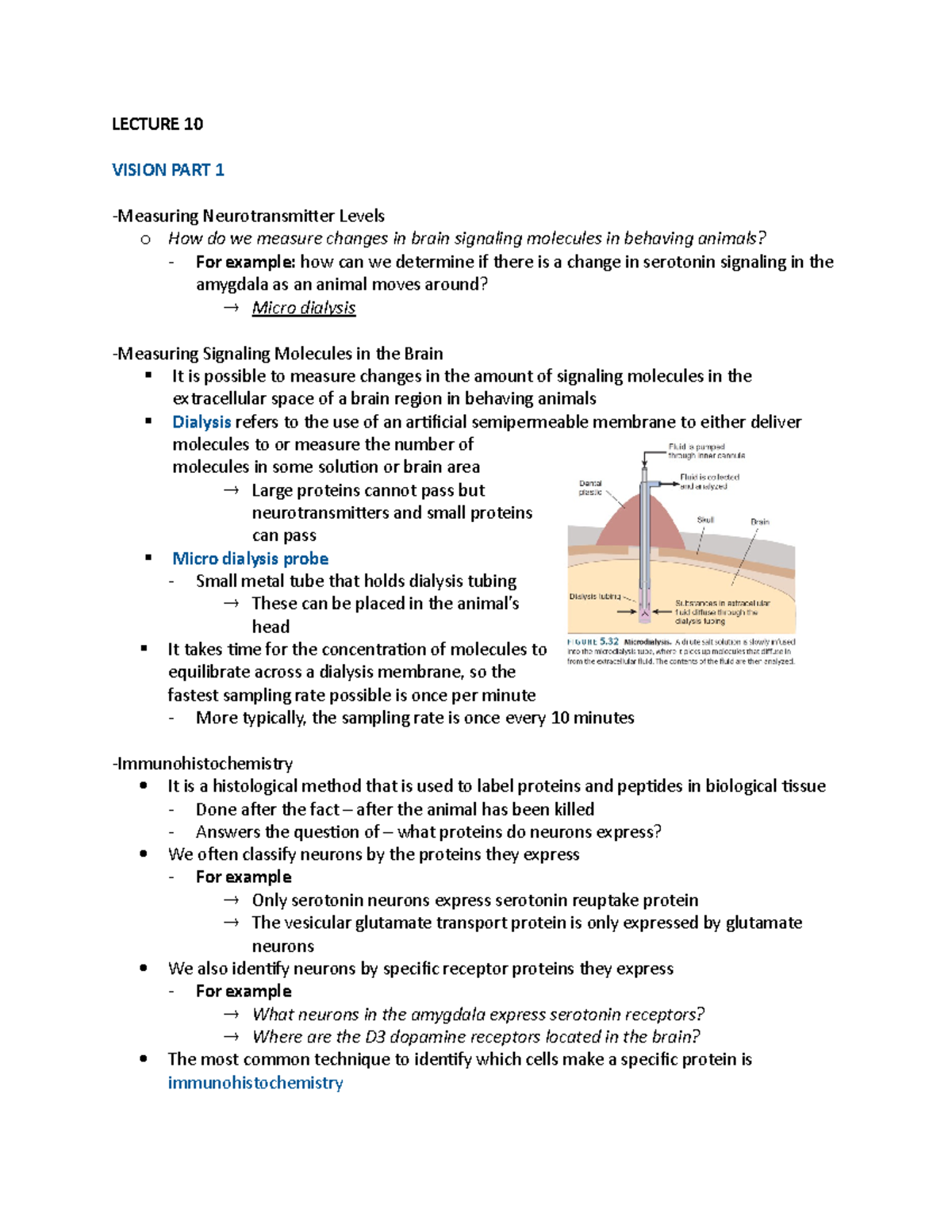 PSYC 211 - Lecture 10 - LECTURE 10 VISION PART 1 -Measuring Neurotransmitter Levels o How do we ...