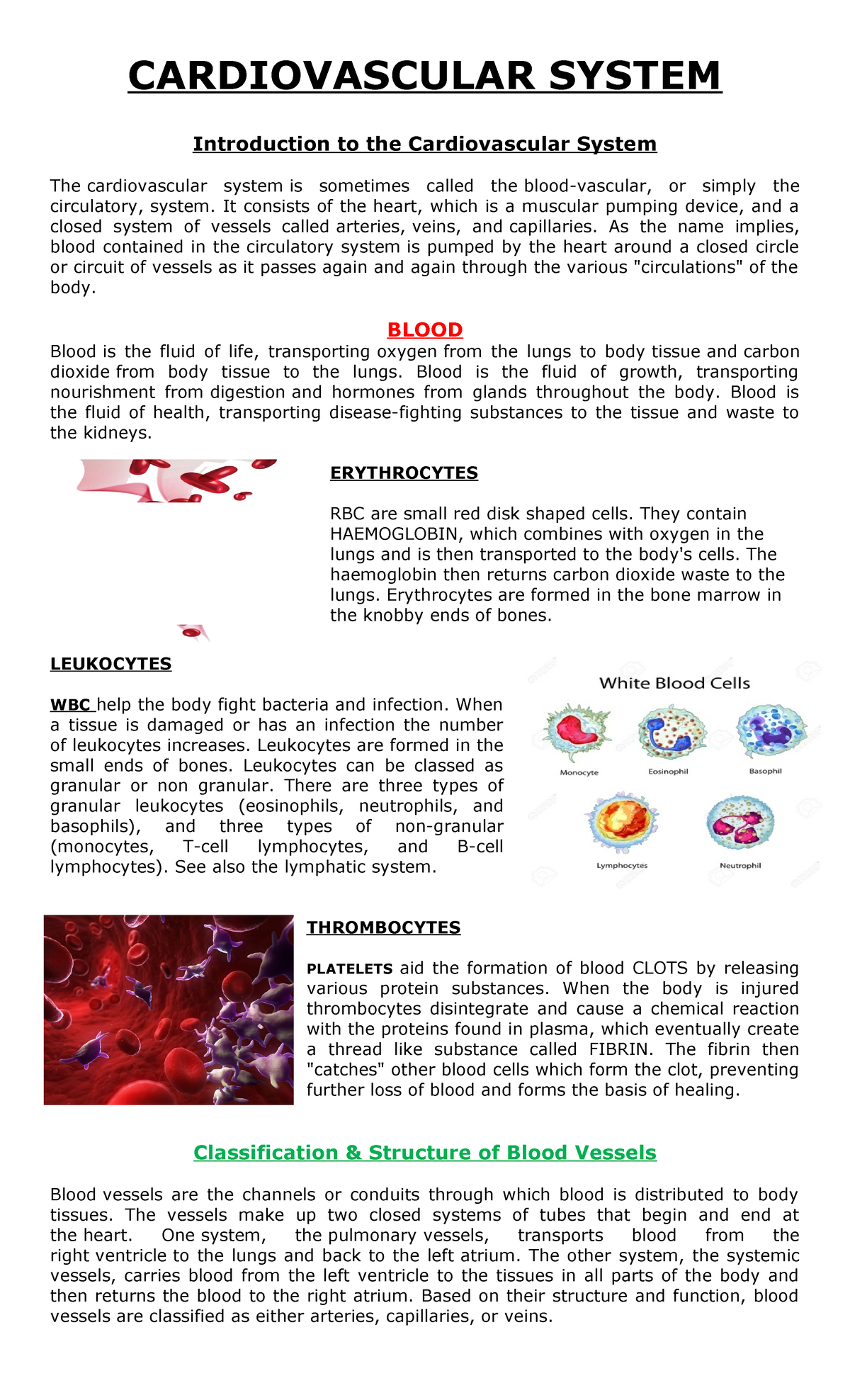 CVS Group - CARDIOVASCULAR SYSTEM Introduction to the Cardiovascular ...