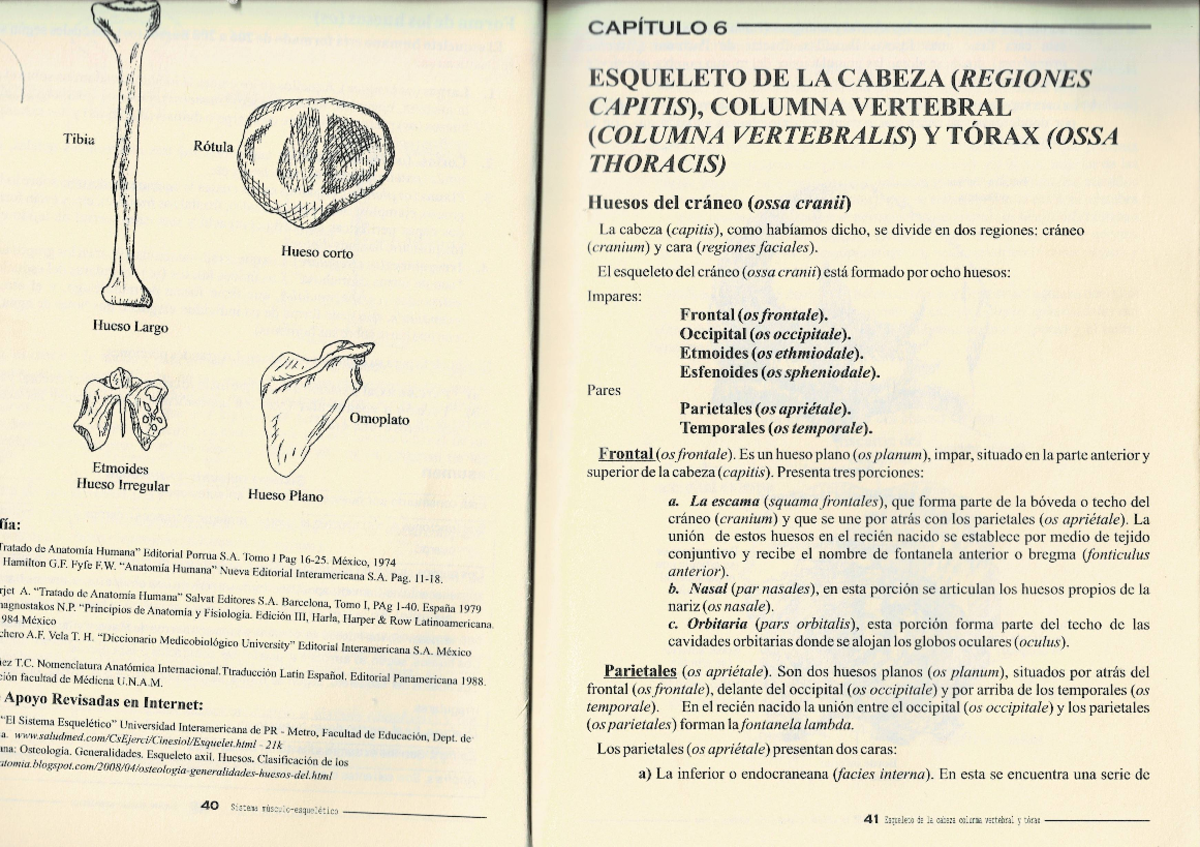 Anatomia - Anatomia humana - Studocu