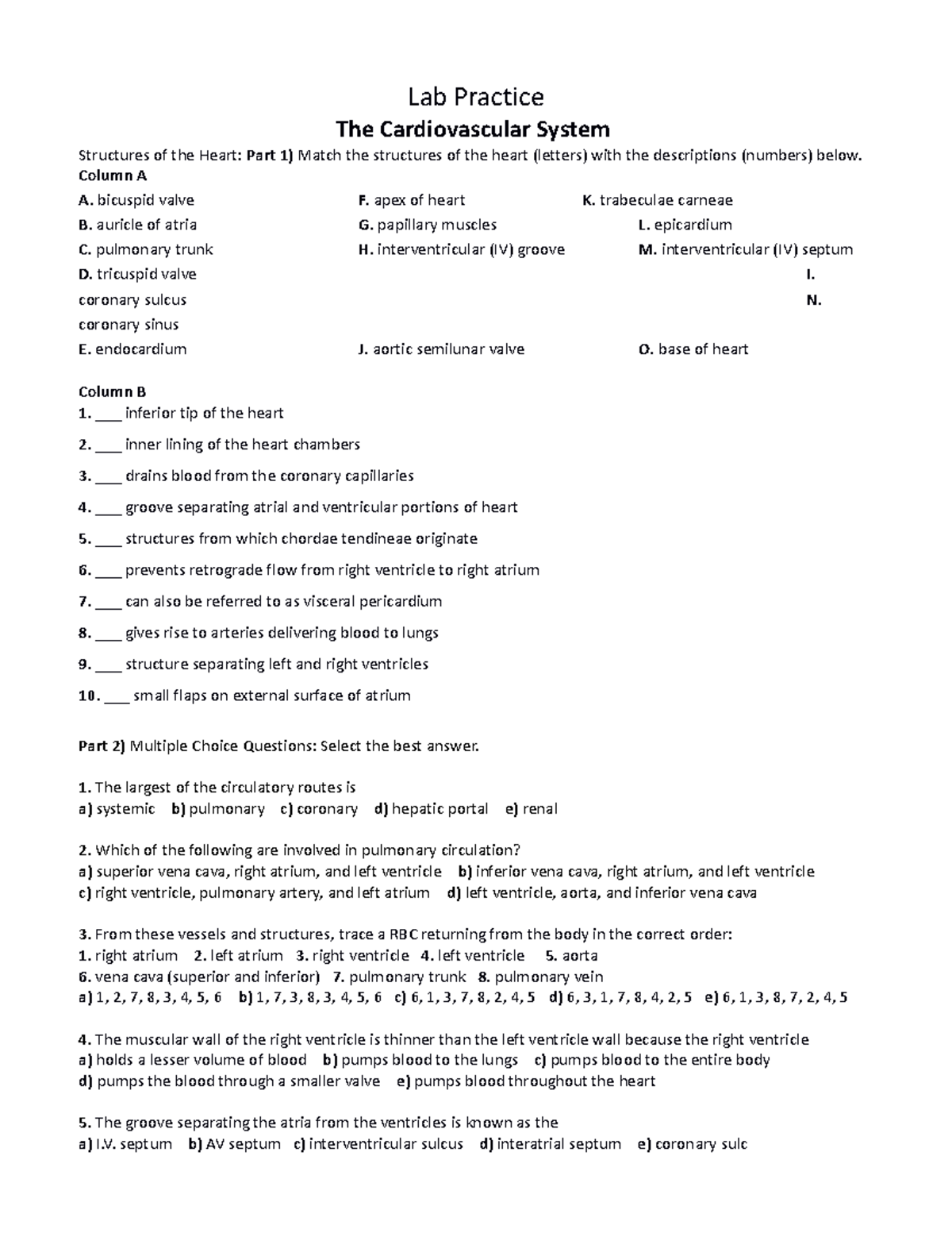 Cardiac review sheet - You got it ! - Lab Practice The Cardiovascular ...