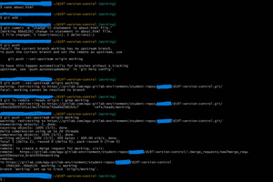 Step C - Second Change - step c - MINGW64 (Working) git add contact MINGW64 (Working) git commit ...