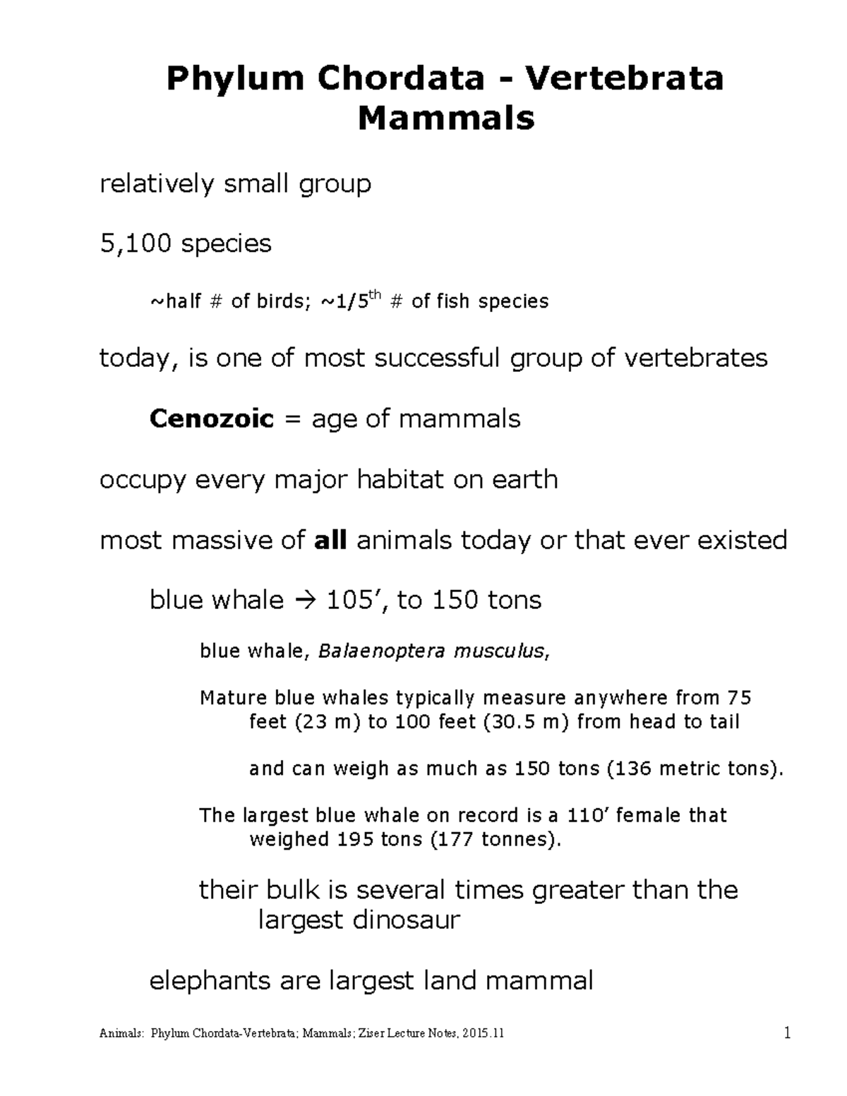 Phylum Chordata-Mammals - Phylum Chordata - Vertebrata Mammals ...