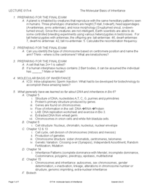 A2 - answer sheet - Assignment 2 Answer Sheet The questions for your ...