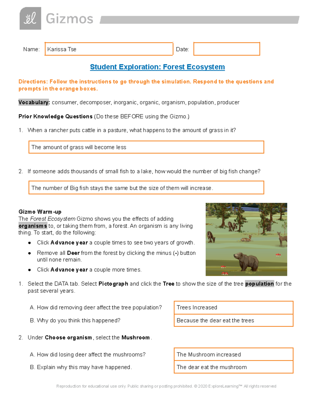 Copy of Gizmo - Forest Ecosystem Student Exploration Sheet - Name ...