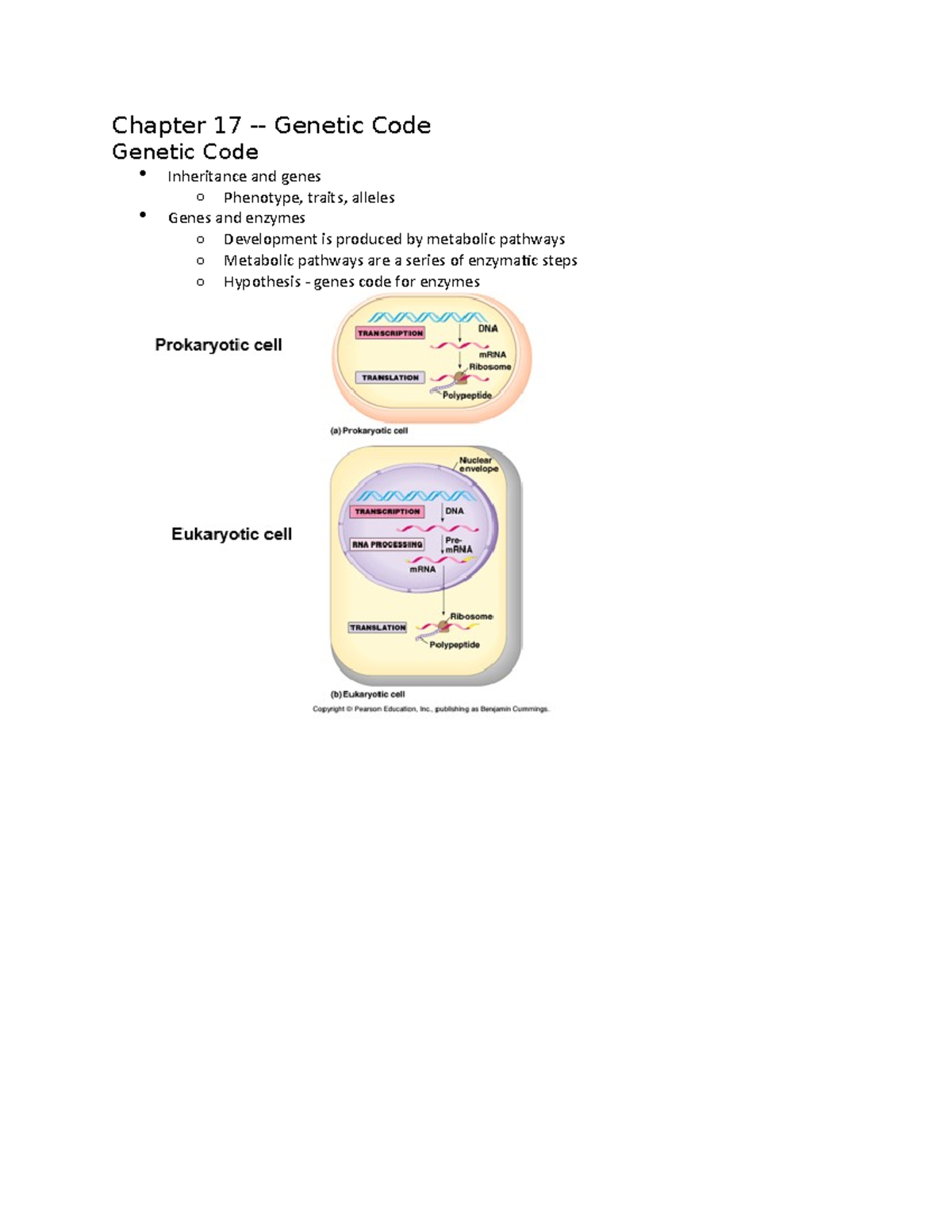 Bio chapter 17 - Chapter 17 - Genetic Code Genetic Code Inheritance and ...
