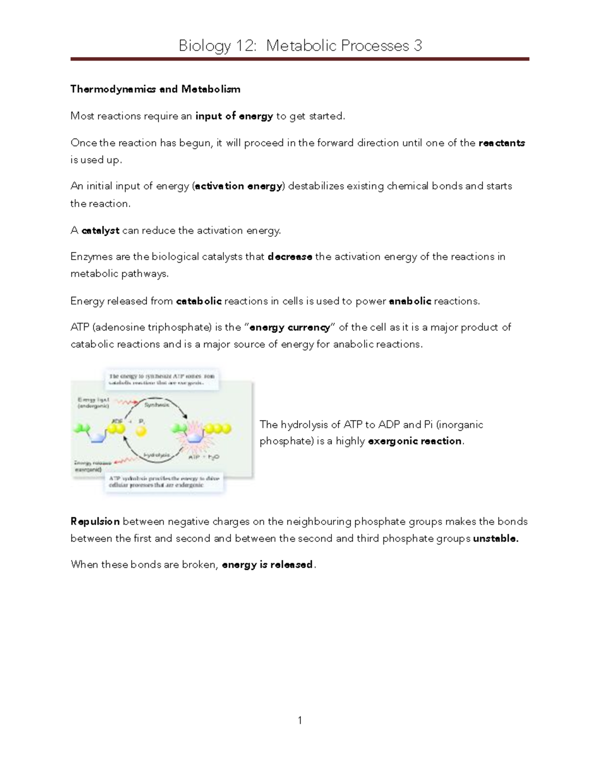 2019 Metabolic Processes Lesson 3 Student note - Thermodynamics and ...