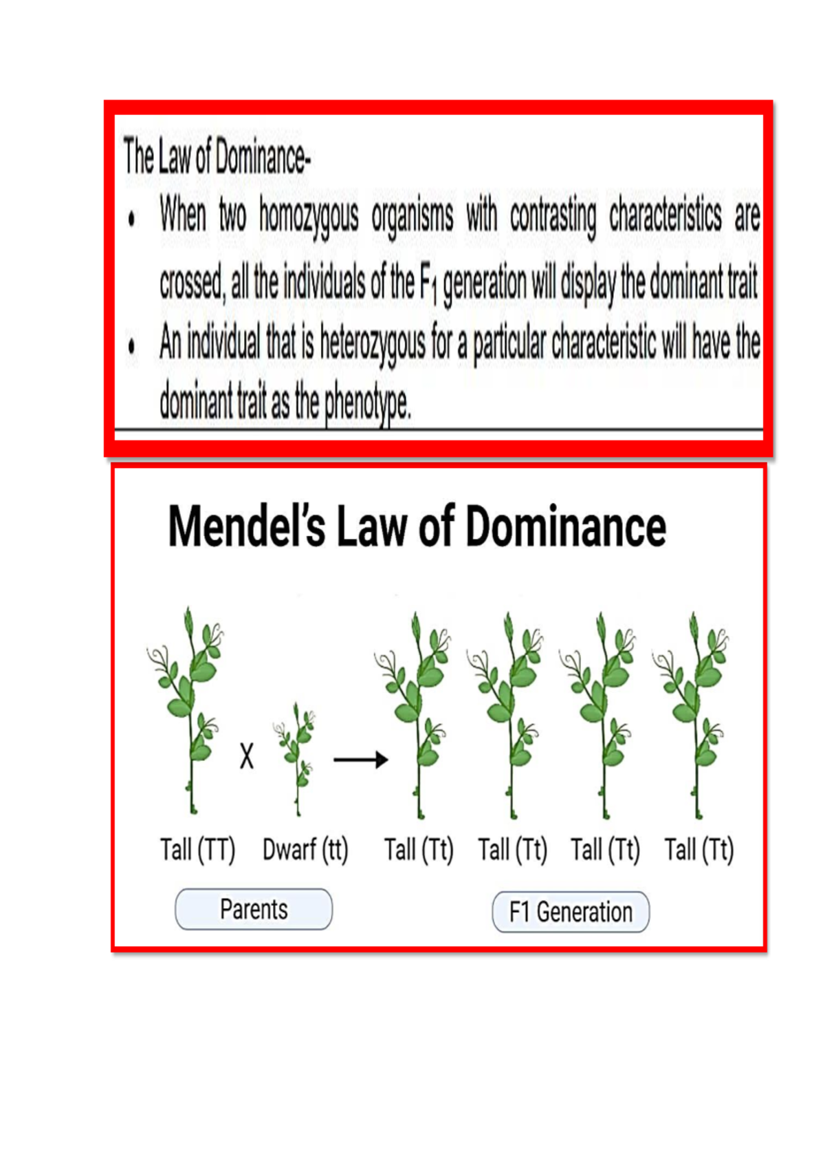LAW OF Dominance - Studocu