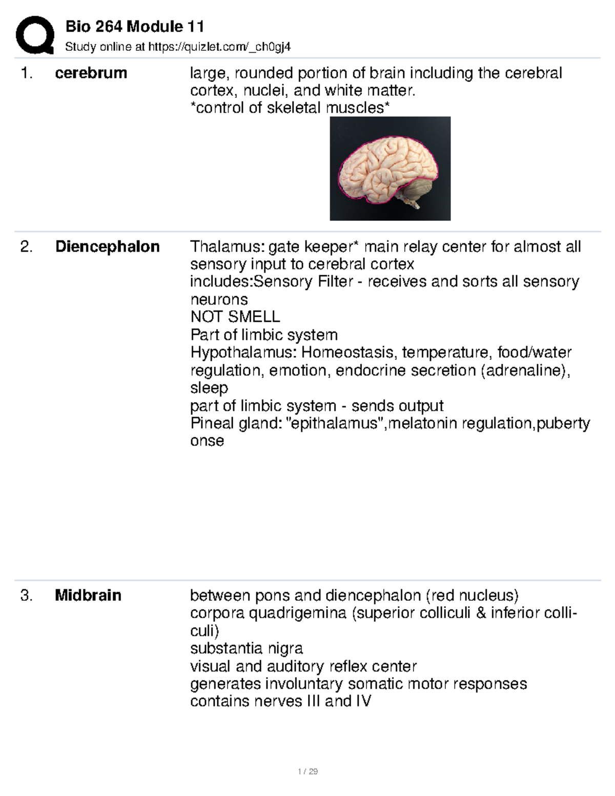 My set- module 11 - Study online at quizlet/_ch0gj cerebrum large ...