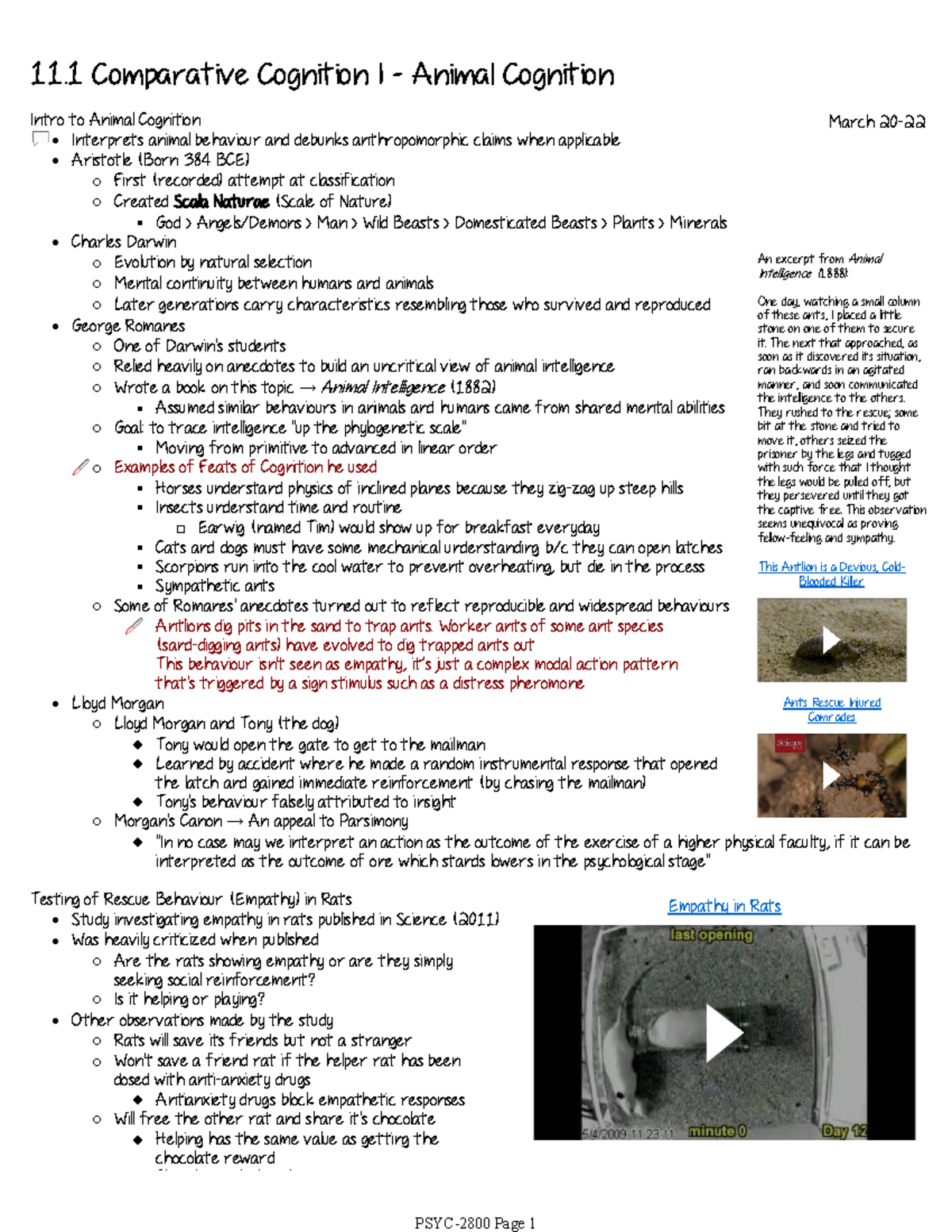 11.1 - Comparative Cognition I - Animal Cognition - 11 Comparative Cognition I - Animal ...