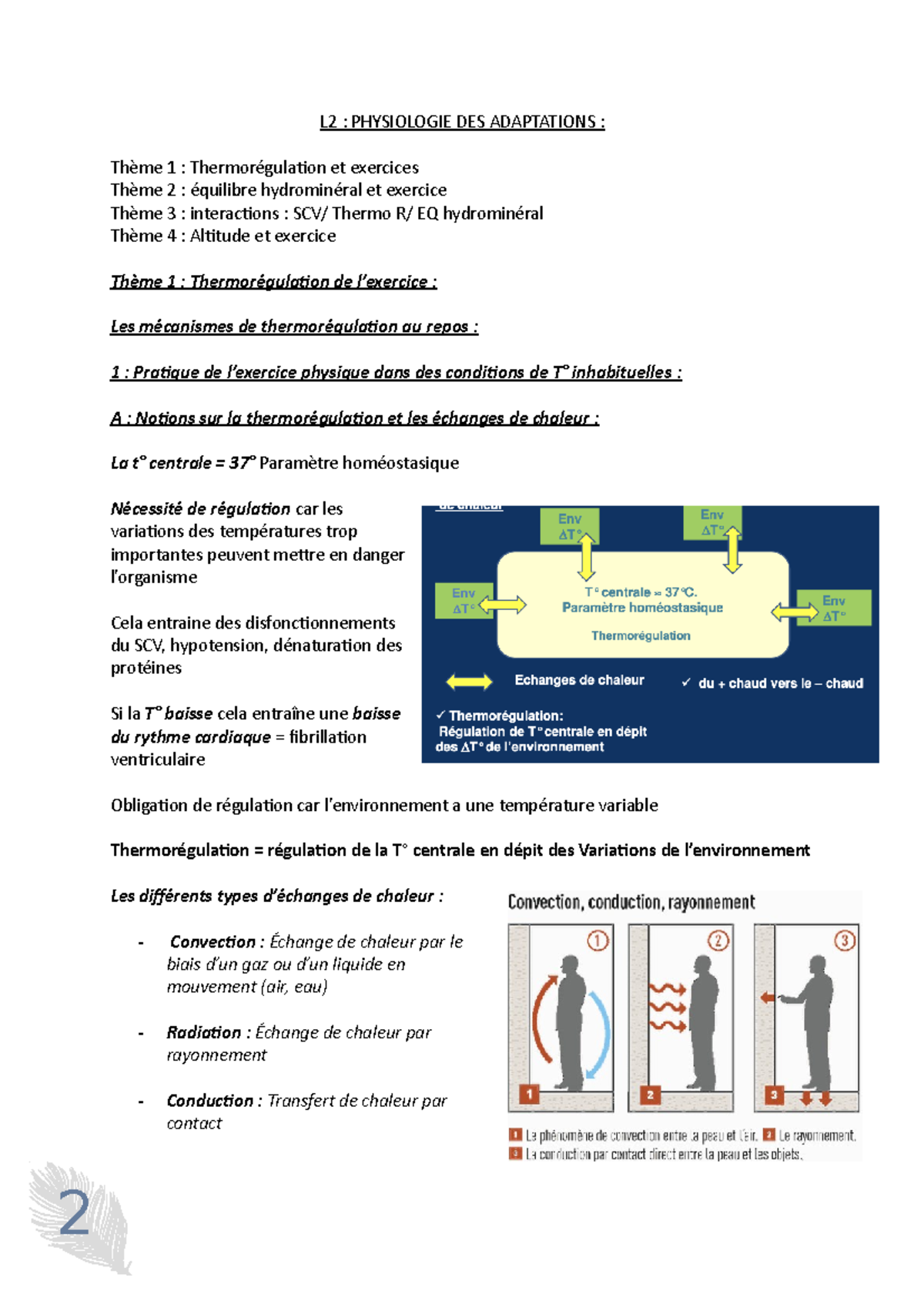 Physio CM1 - L2 : PHYSIOLOGIE DES ADAPTATIONS : Thème 1 : Thermorégulation et exercices Thème 2 ...