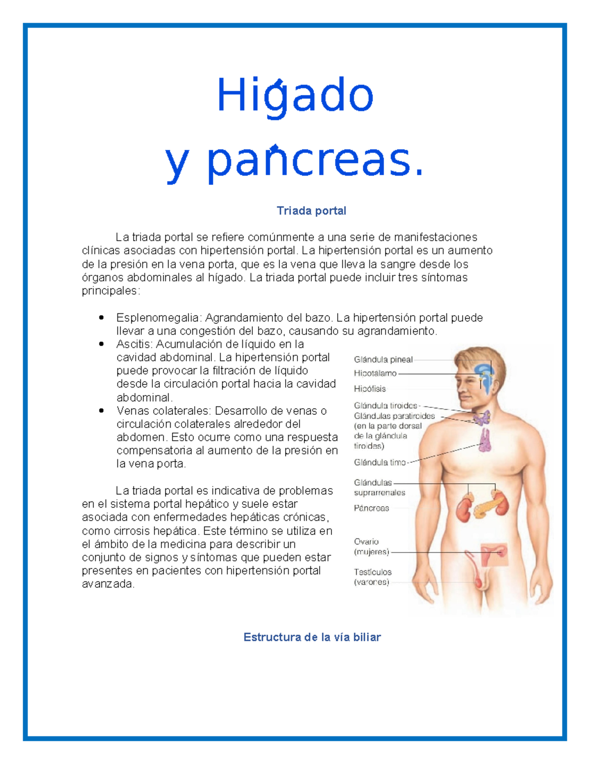 Hígado y pancreas 19 - lo mejor - Higado y pancreas. Triada portal La ...