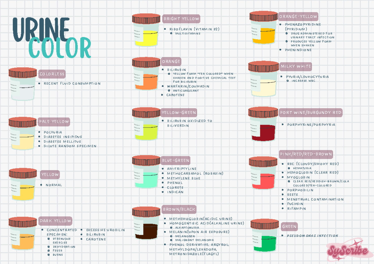 Clinical Microscopy- urine color - SyScribeSyScribe URINE COLOR ...